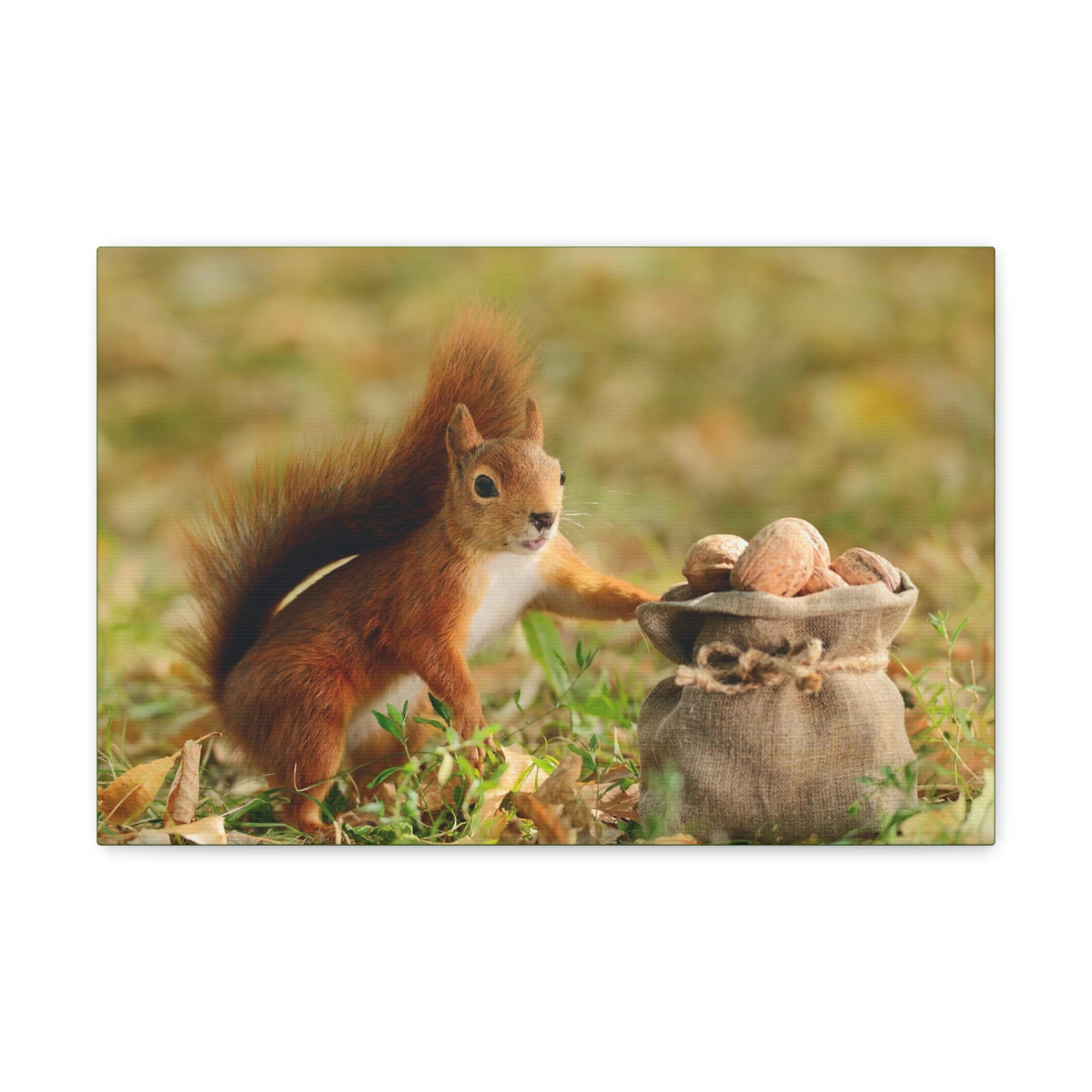Funny Squirrel Silly Squirrel Outside Wall Art Ready to Hang Unframed ...