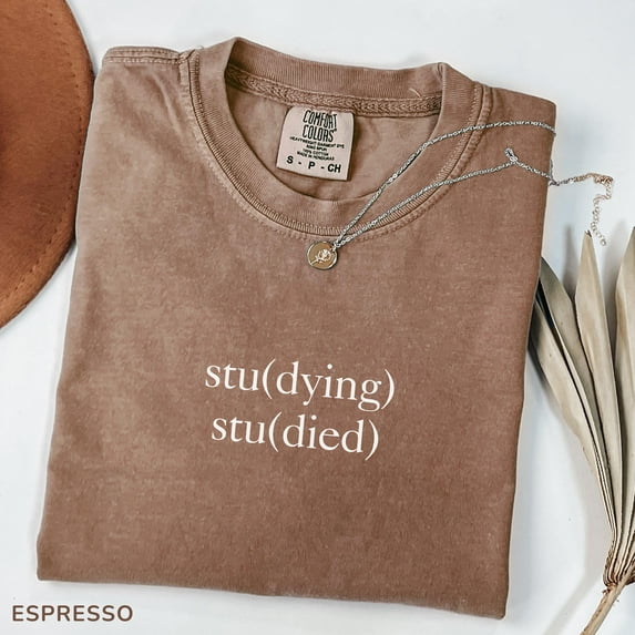 Funny Student Shirt, College Exam Humor Shirt, Study Motivation Tshirt ...