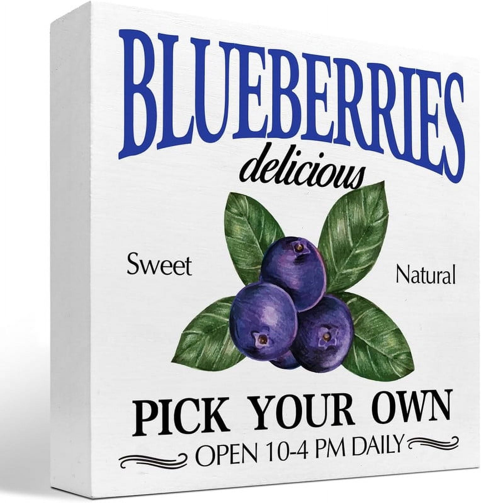 Funny Summer Wood Box Signs,Pick Your Own Blueberries Wood Sign Desk ...
