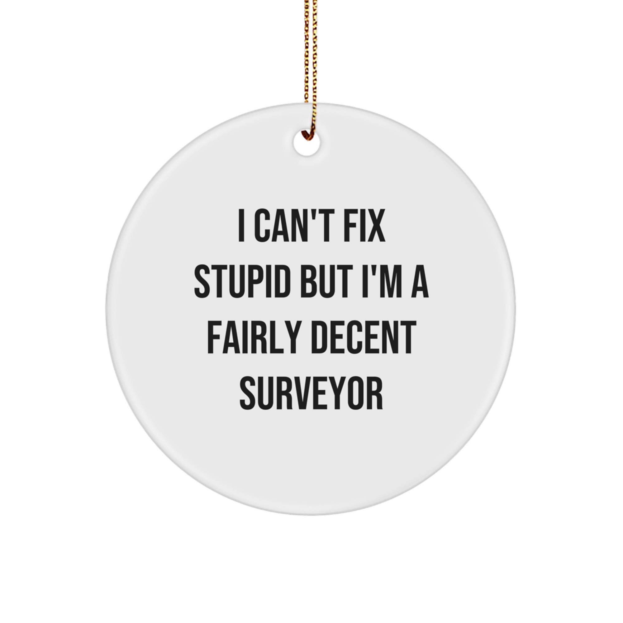 Funny Surveyor Gifts from Friends: 'I Can't Fix Stupid But I'm A Fairly ...