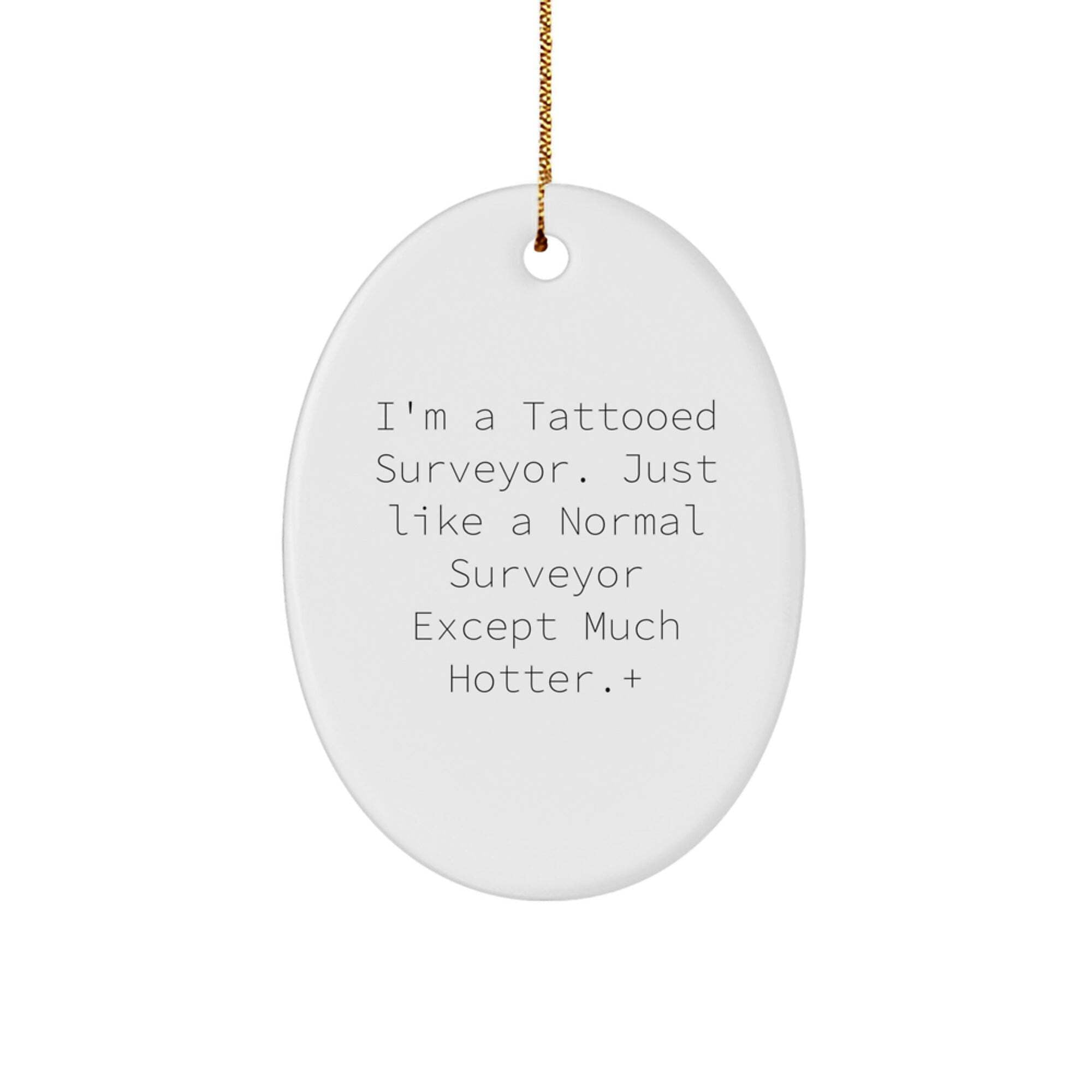 Funny Surveyor Oval Ornament Gifts for Surveyor Lovers, Christmas ...