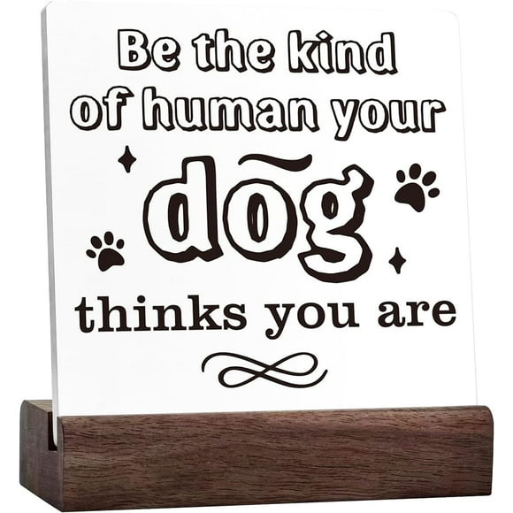 Cubicle Decor Ideas 2021