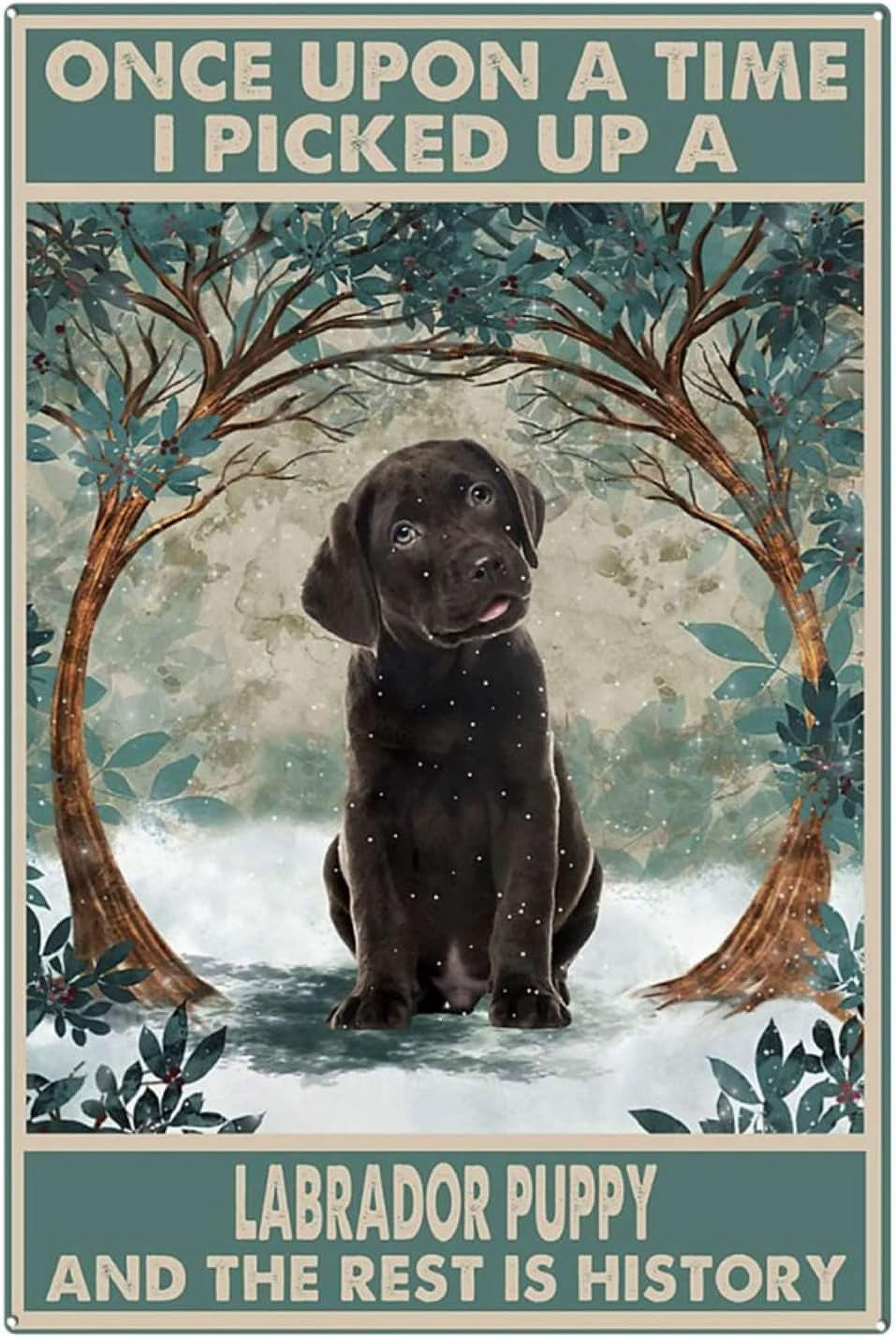 Funny Tin Bathroom Signs Metal Sign Chocolate Labrador Puppy Once Upon ...