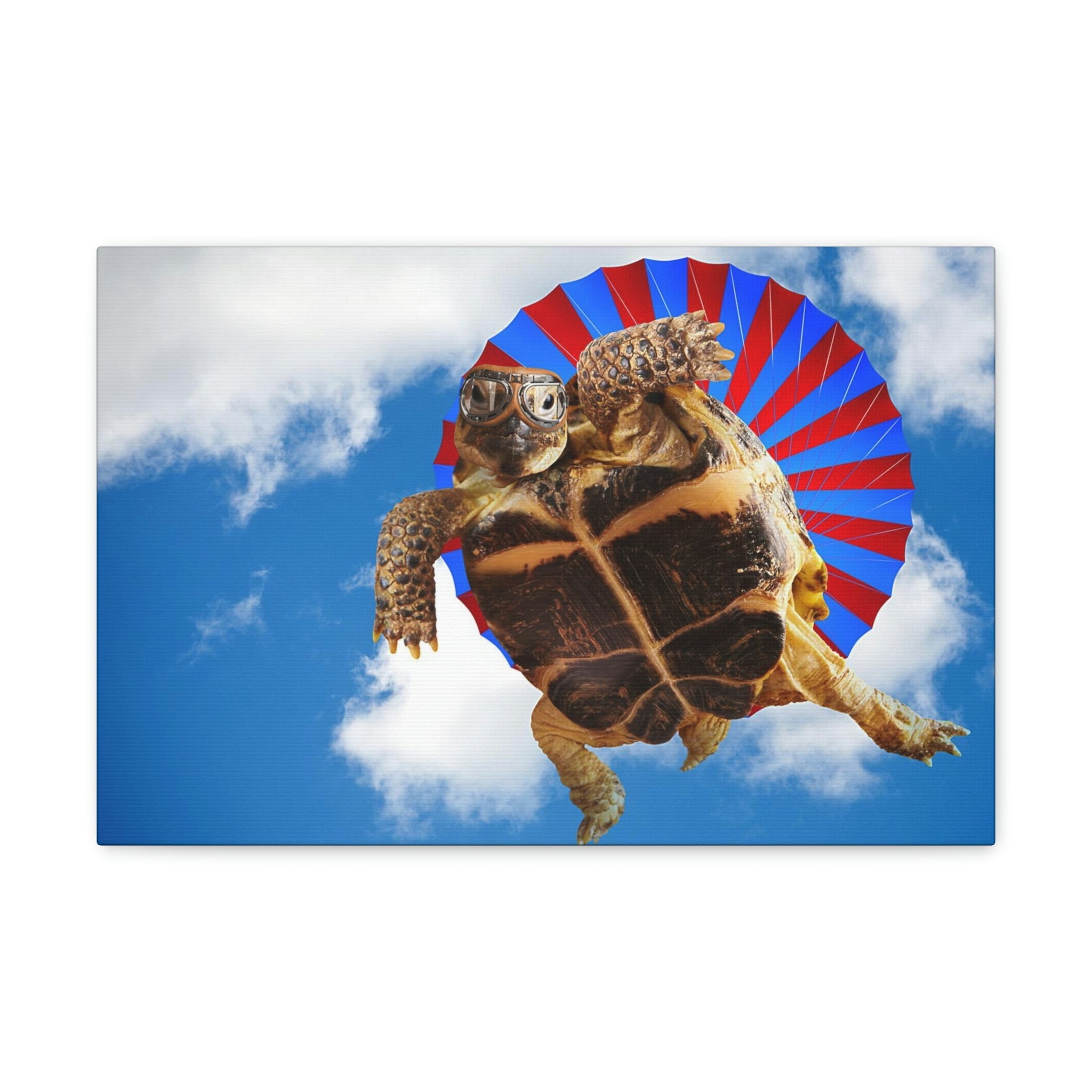 Funny Turtle Silly Turtle Outside Wall Art Ready to Hang Unframed ...