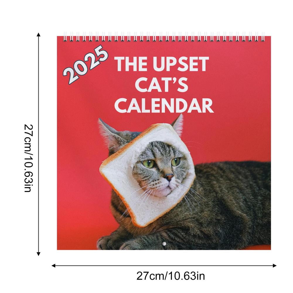 Funny Wall Calendar Upset Cat Wall Calendar 2025 Monthly Calendar ...
