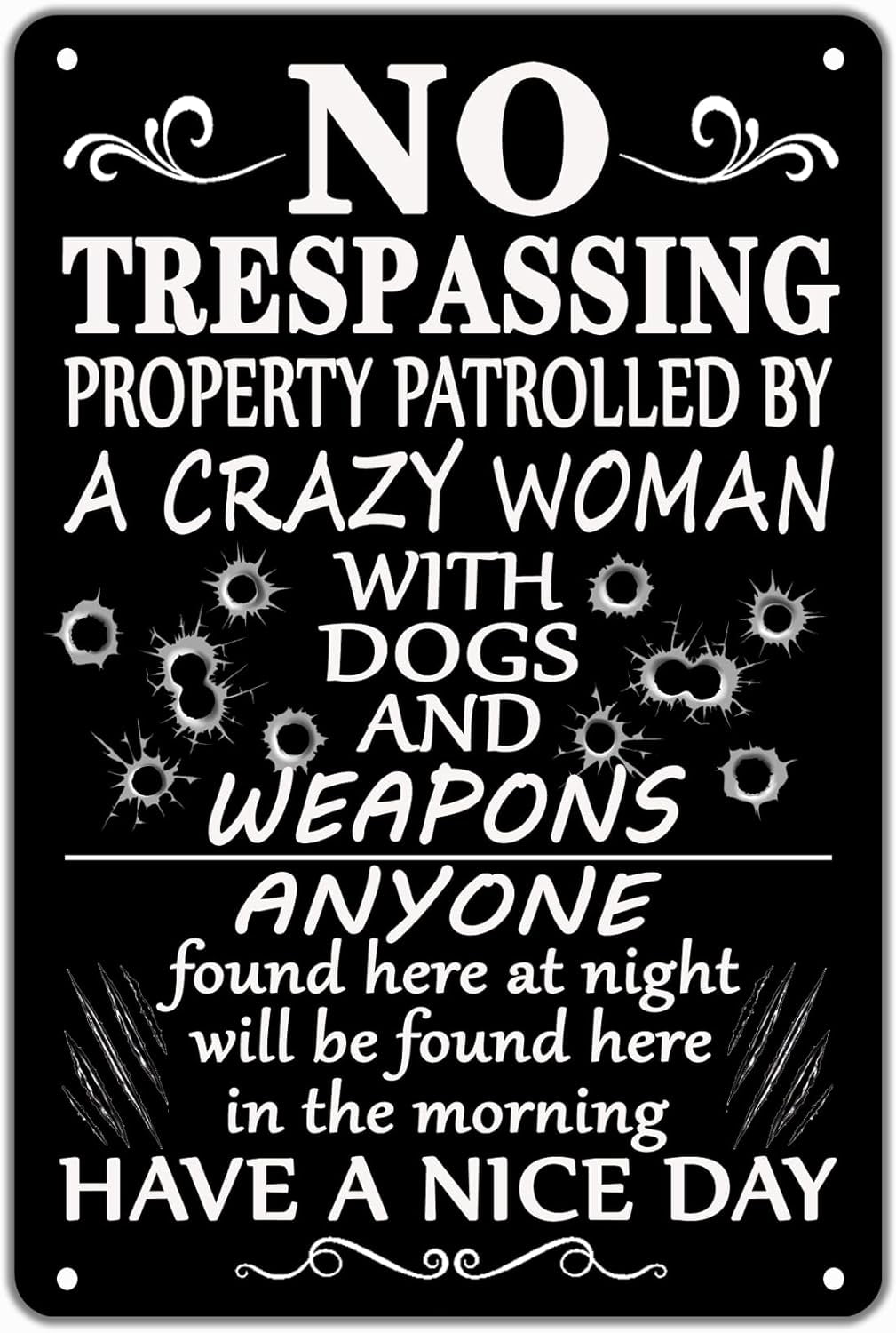 Funny Warning Metal Signs Yard Decor Private Property No Trespassing ...