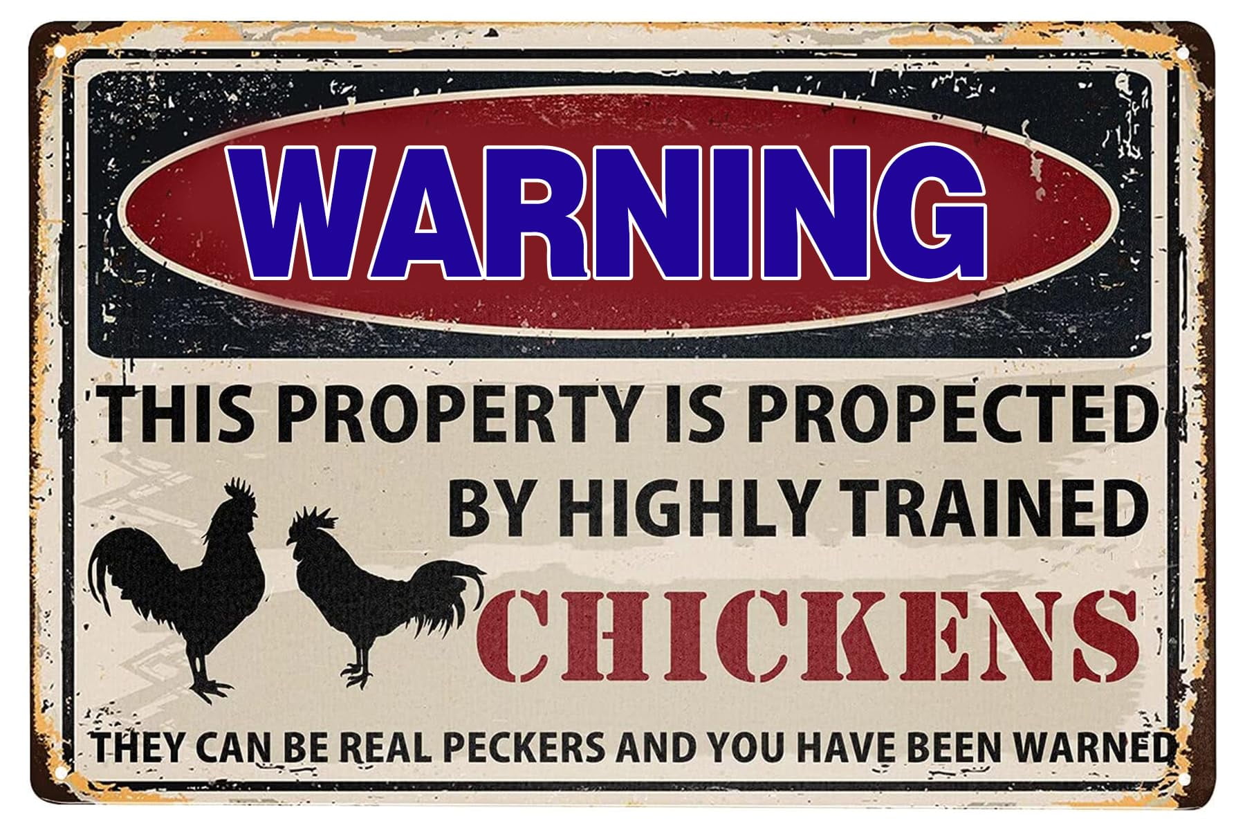 Funny Warning Signs Chicken Sign Chicken Coop Decor Sign Property ...