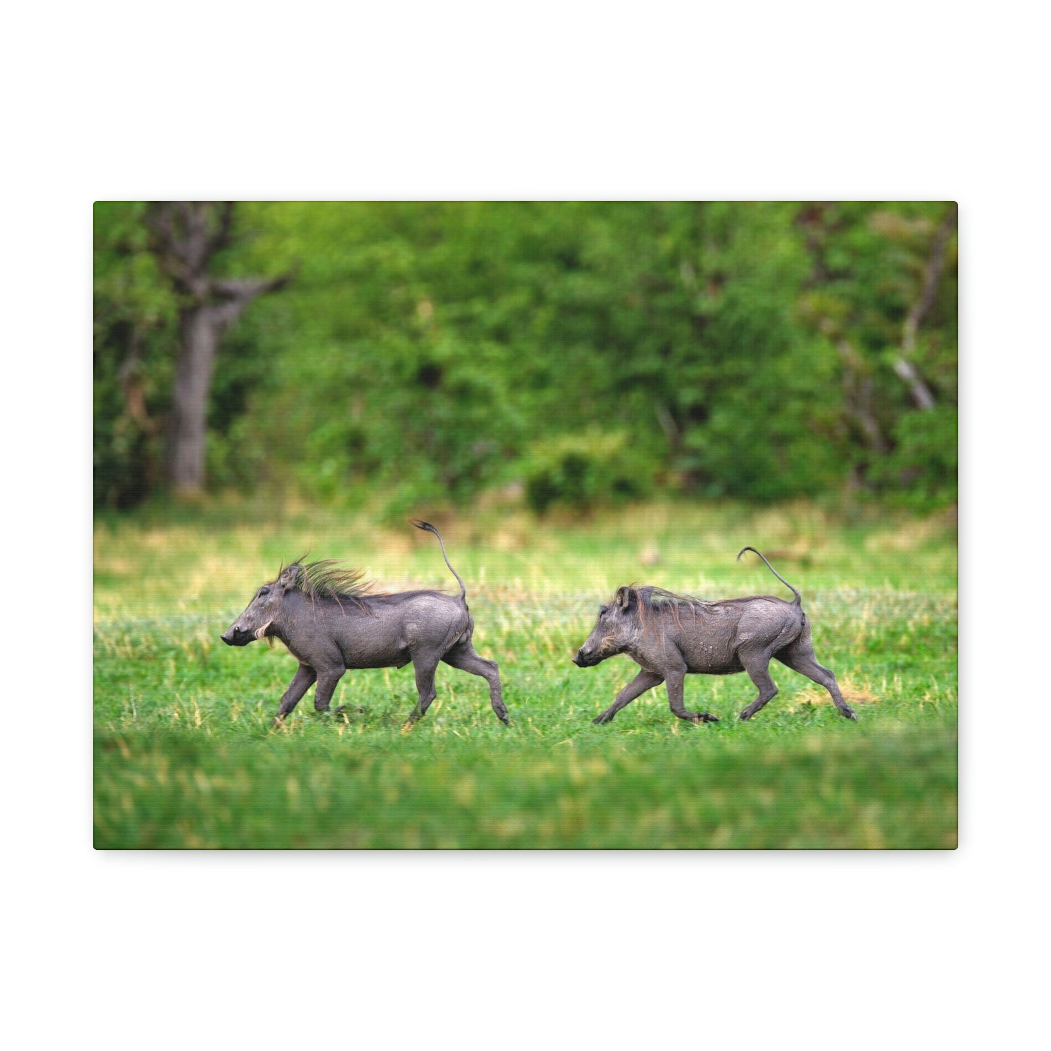 Funny Warthog Silly Warthog Scene Couple Wall Art Ready to Hang ...