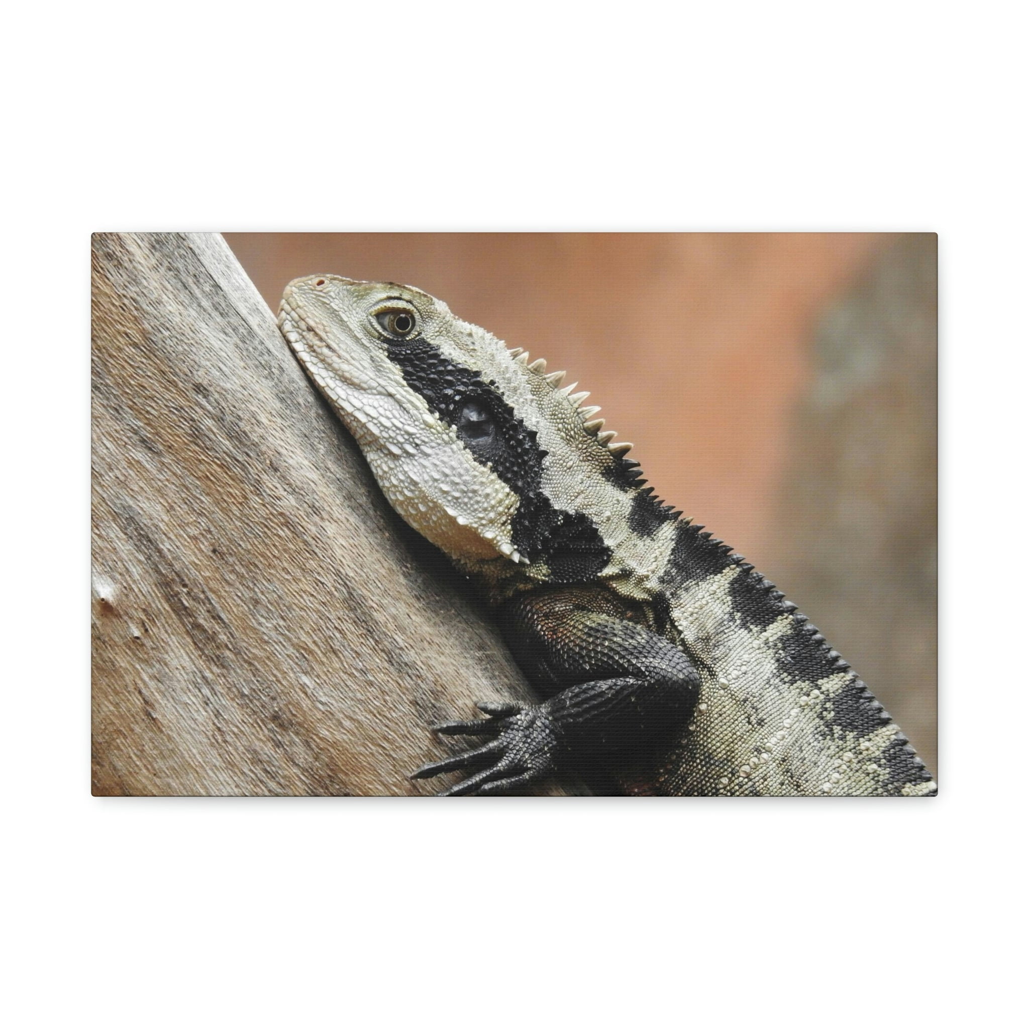 Funny Water Dragons Silly Water Dragons Scene Outside Wall Art Ready to ...