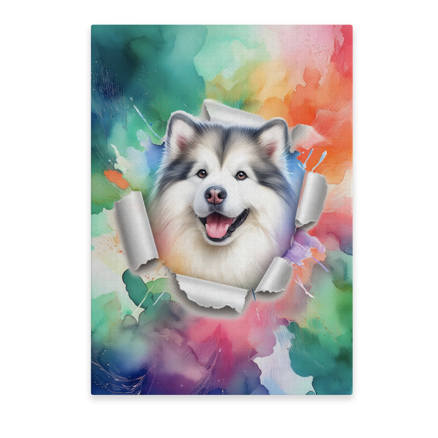 Funny Watercolor Adorable Alaskan Malamute Peeking Through Torn Paper ...