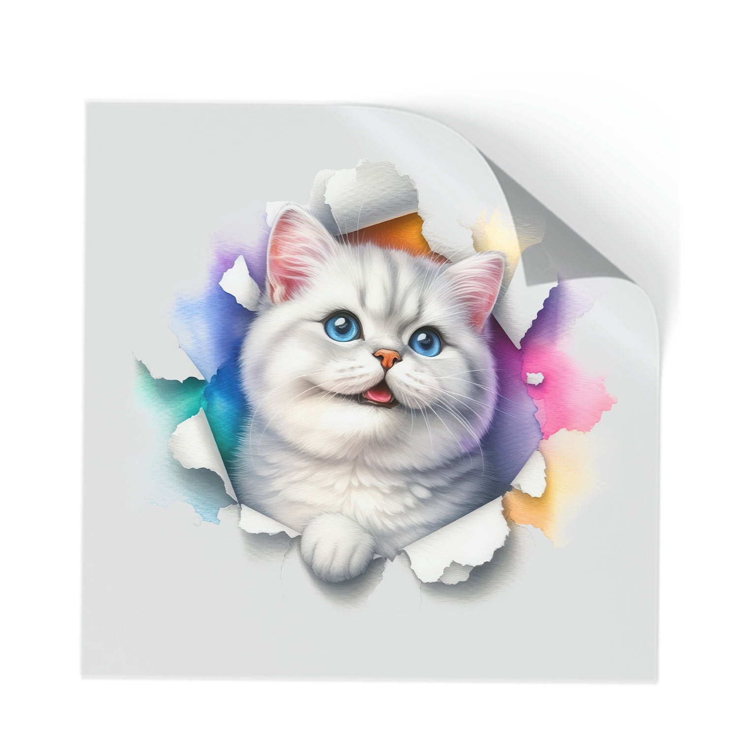 Funny Watercolor Adorable American Shorthair Peeking Through Torn Paper ...