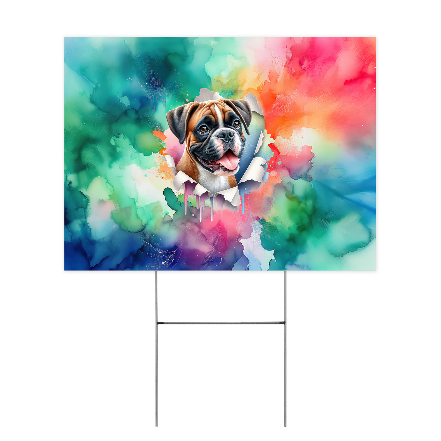 Funny Watercolor Adorable Boxer Peeking Through Torn Paper Effect Yard ...