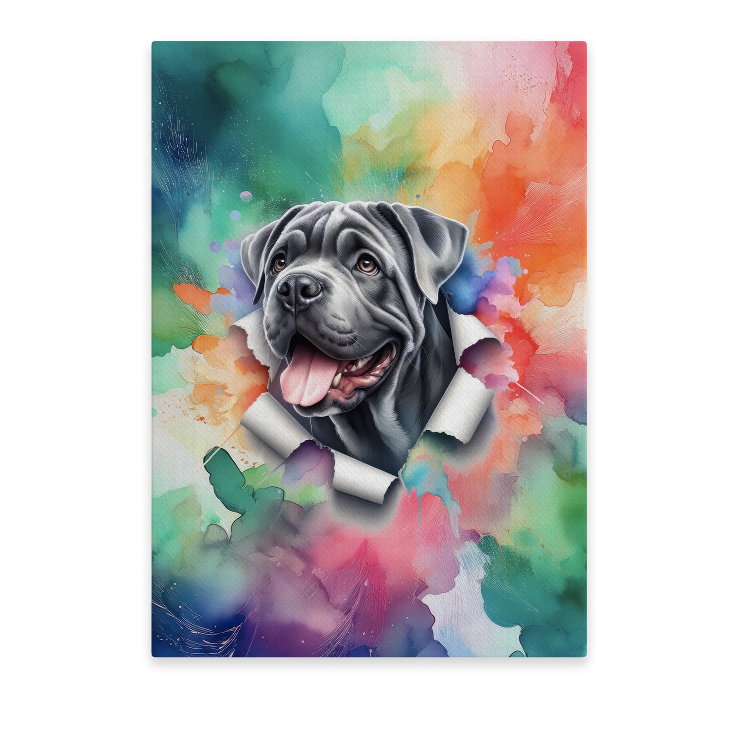 Funny Watercolor Adorable Cane Corso Peeking Through Torn Paper Effect ...