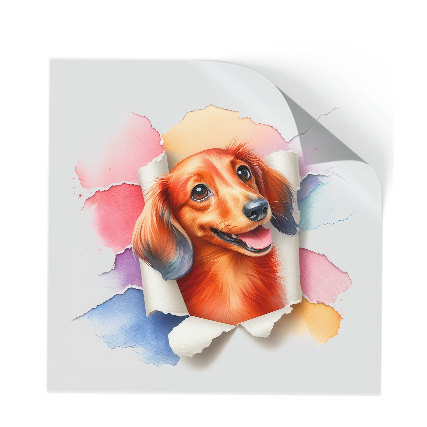 Funny Watercolor Adorable Dachshund Peeking Through Torn Paper Effect ...