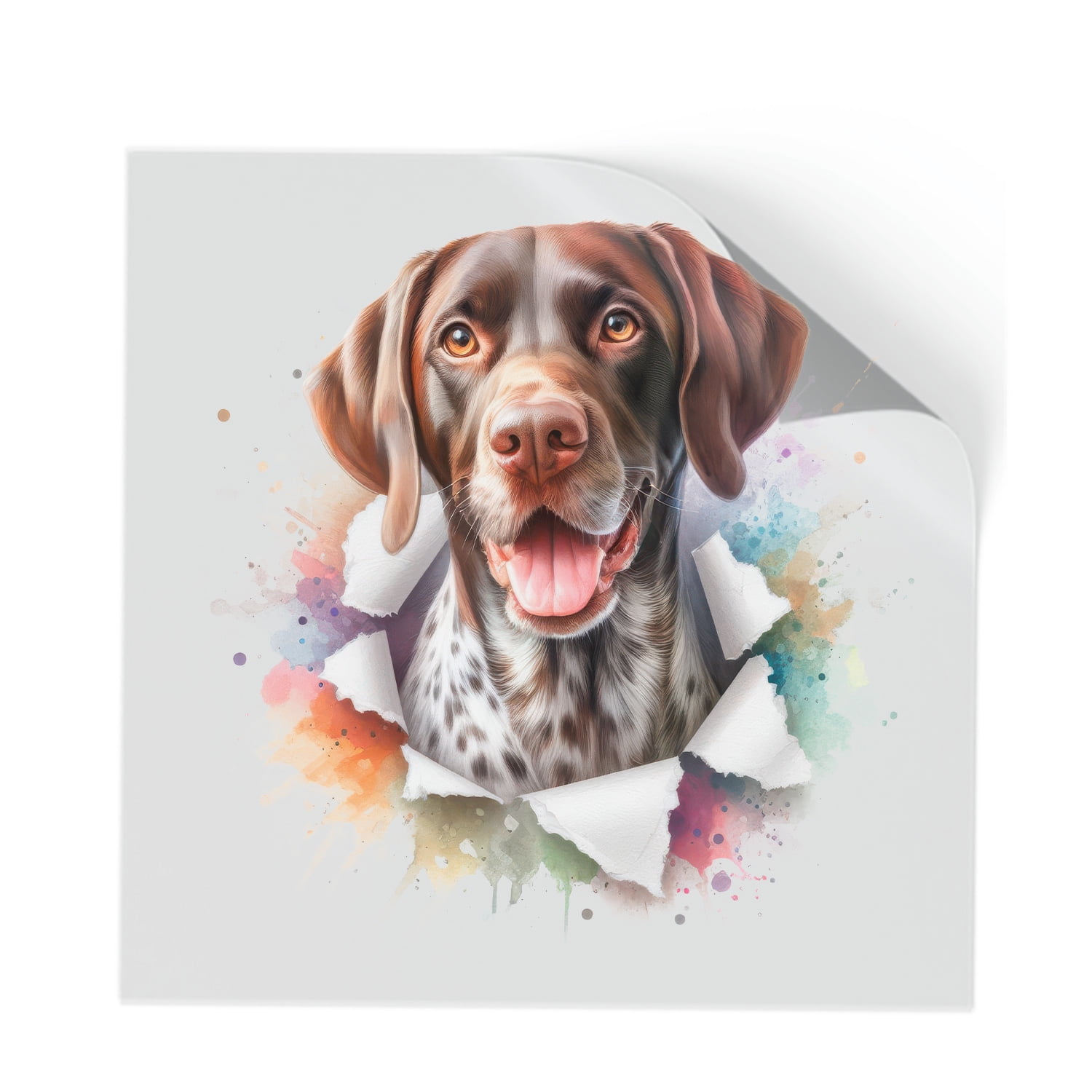 Funny Watercolor Adorable German Shorthaired Pointer Peeking Through ...