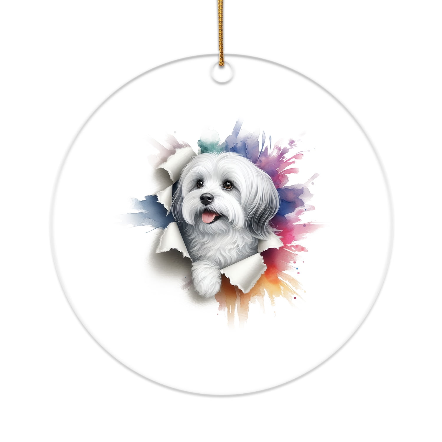 Funny Watercolor Adorable Havanese Peeking Through Torn Paper Effect ...