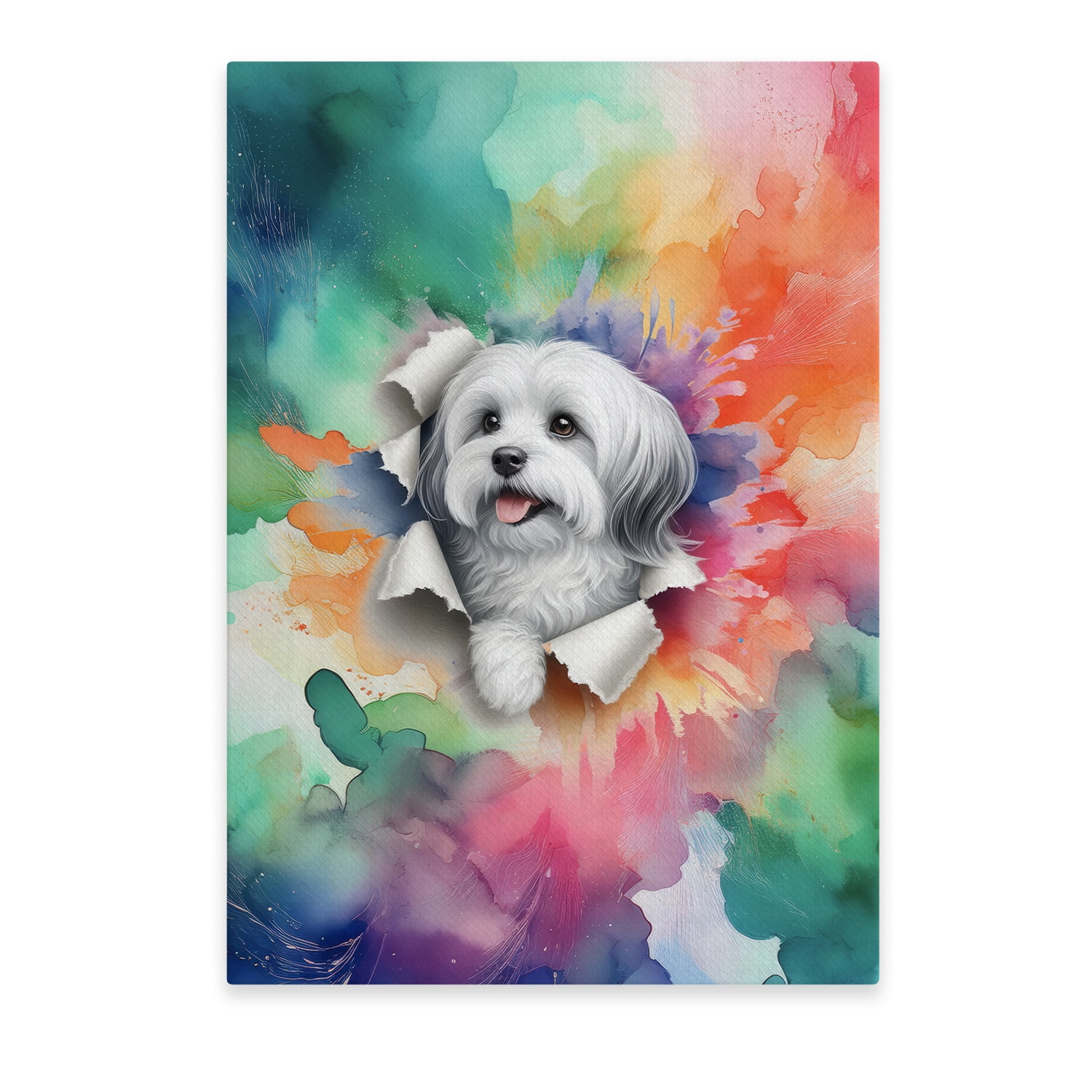 Funny Watercolor Adorable Havanese Peeking Through Torn Paper Effect ...