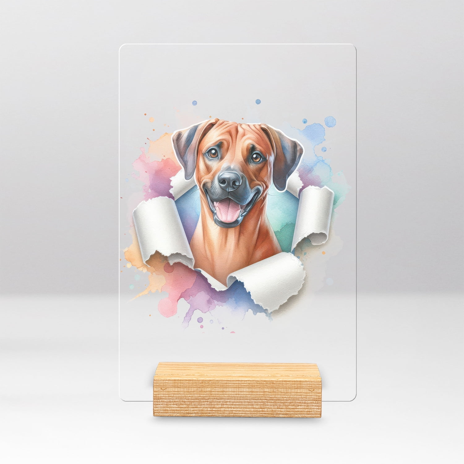 Funny Watercolor Adorable Rhodesian Ridgeback Peeking Through Torn ...
