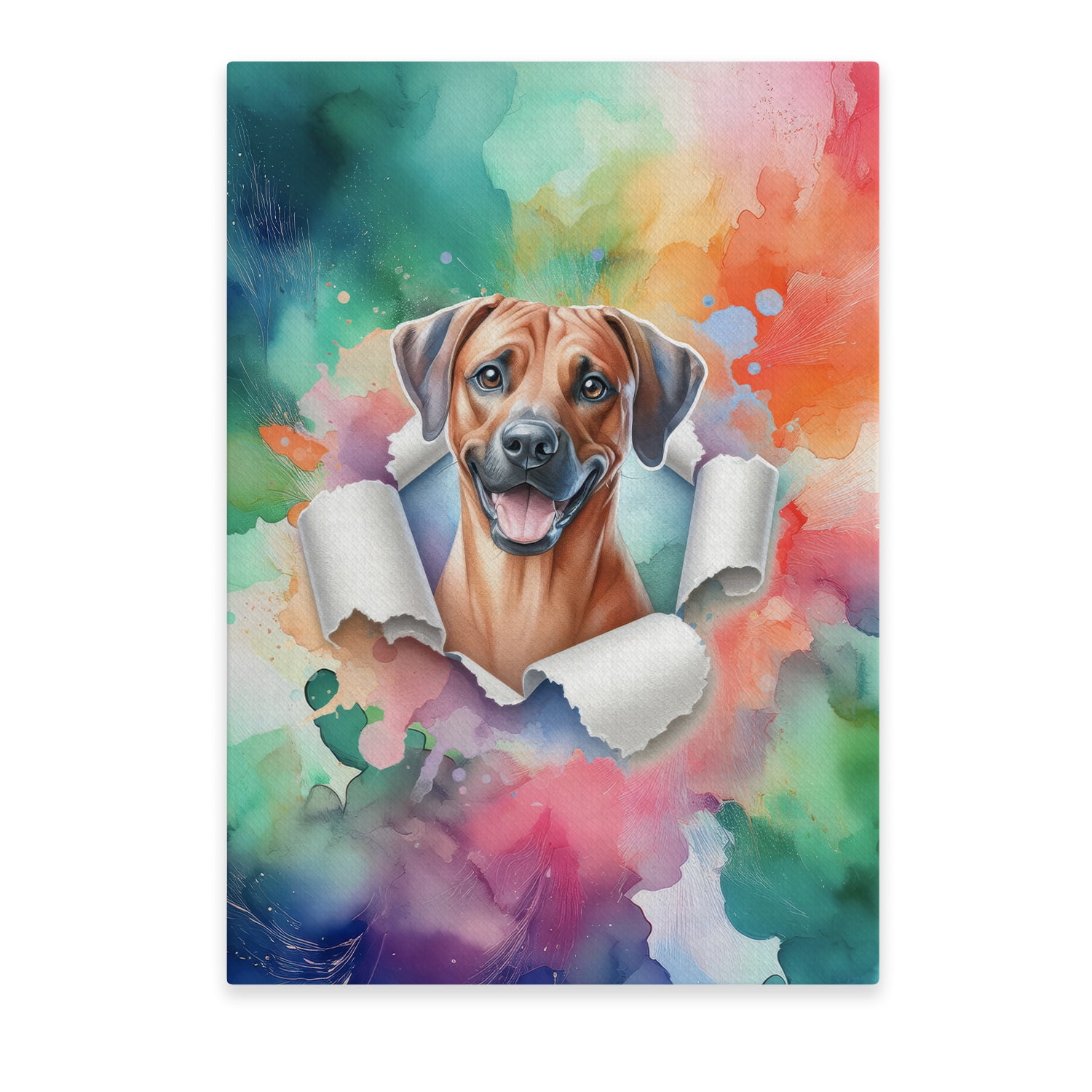 Funny Watercolor Adorable Rhodesian Ridgeback Peeking Through Torn ...