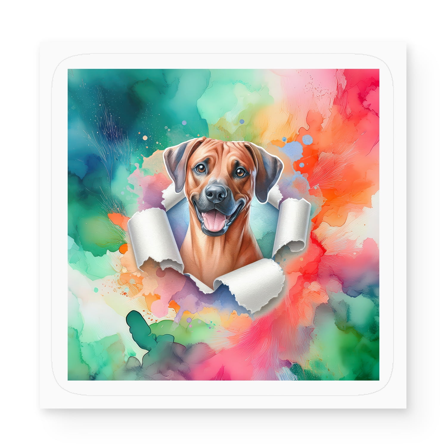 Funny Watercolor Adorable Rhodesian Ridgeback Peeking Through Torn ...