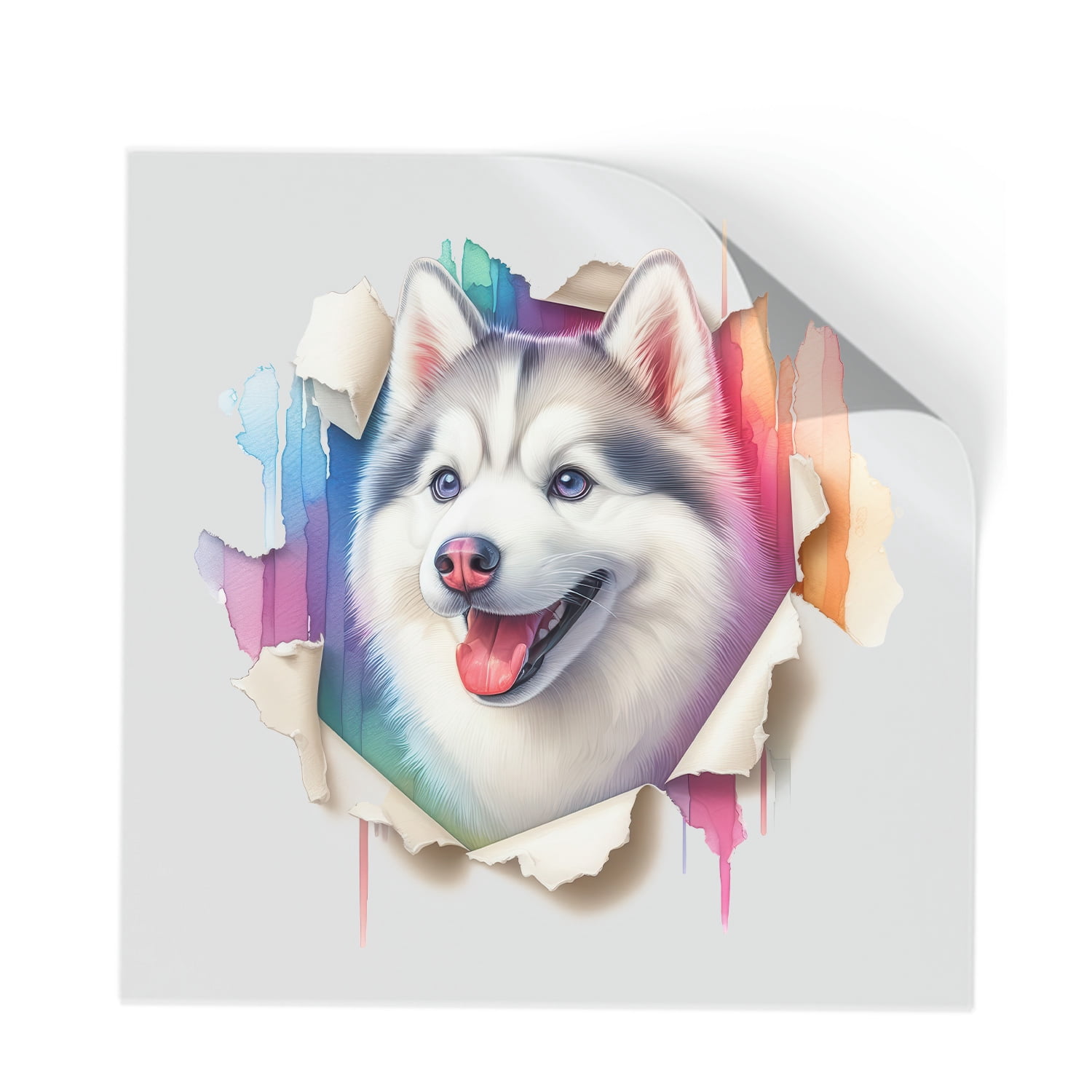 Funny Watercolor Adorable Siberian Husky Peeking Through Torn Paper ...
