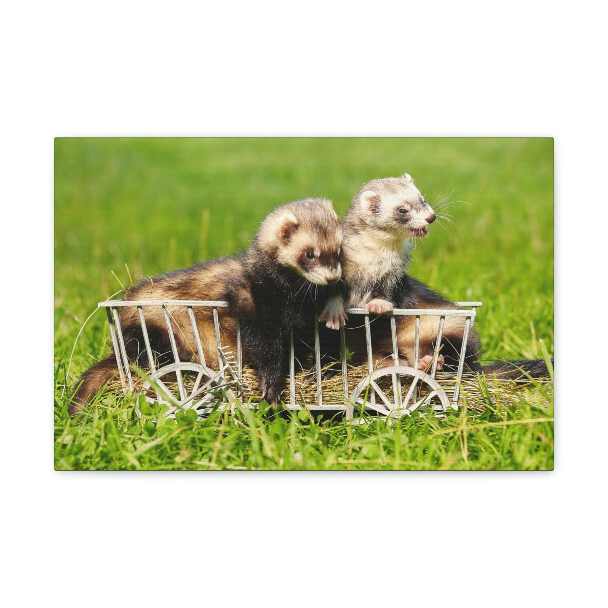 Funny Weasel Silly Weasel Couples Wall Art Ready to Hang Unframed ...
