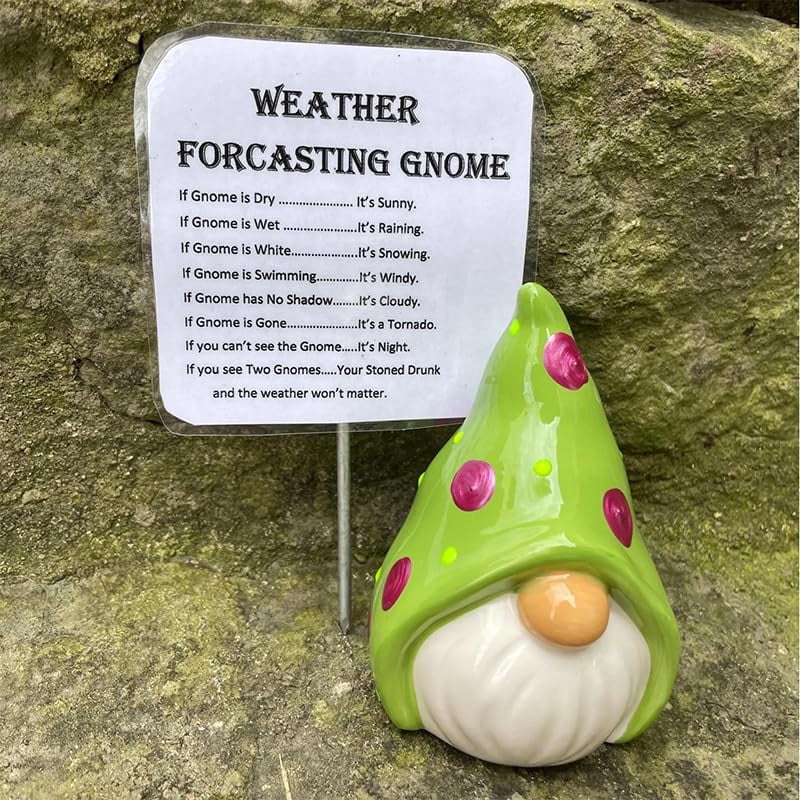 Funny Weather Forecasting Gnome, Garden Gnome Statue for Your Garden ...