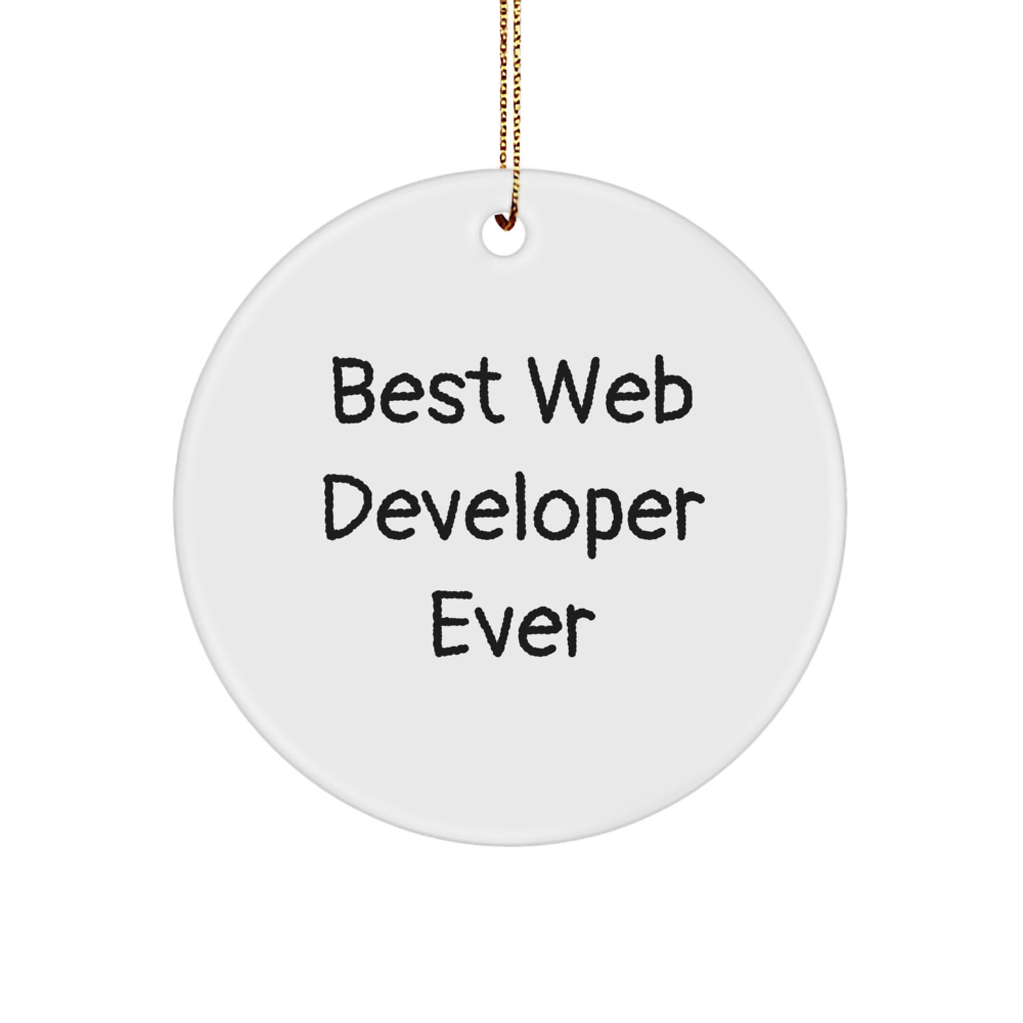 Funny Web Developer Christmas Circle Ornaments Gifts from Friends for ...