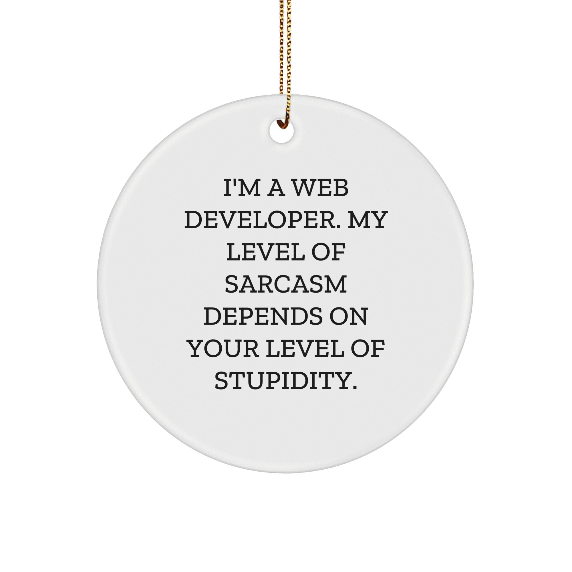 Funny Web Developer Gifts for Him from Friends - Circle Ornament with ...