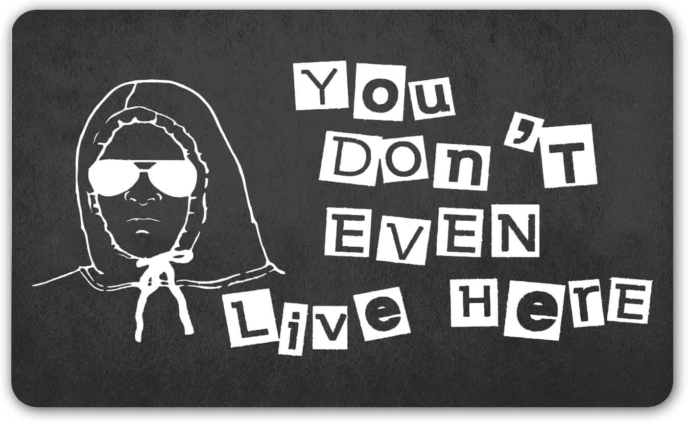 Funny Welcome Doormat Indoor Entray Front Porch with Rubber Back 30(L) x 17(W) You Don't Even ...