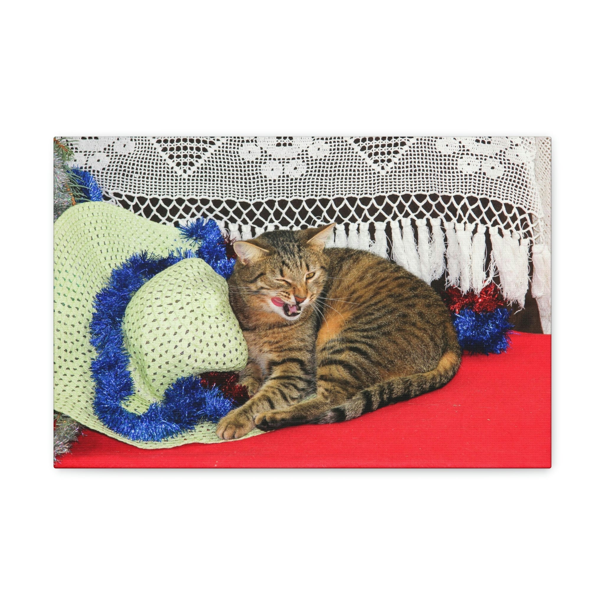 Funny Wildcat Silly Wildcat Scene Inside Wall Art Ready to Hang ...