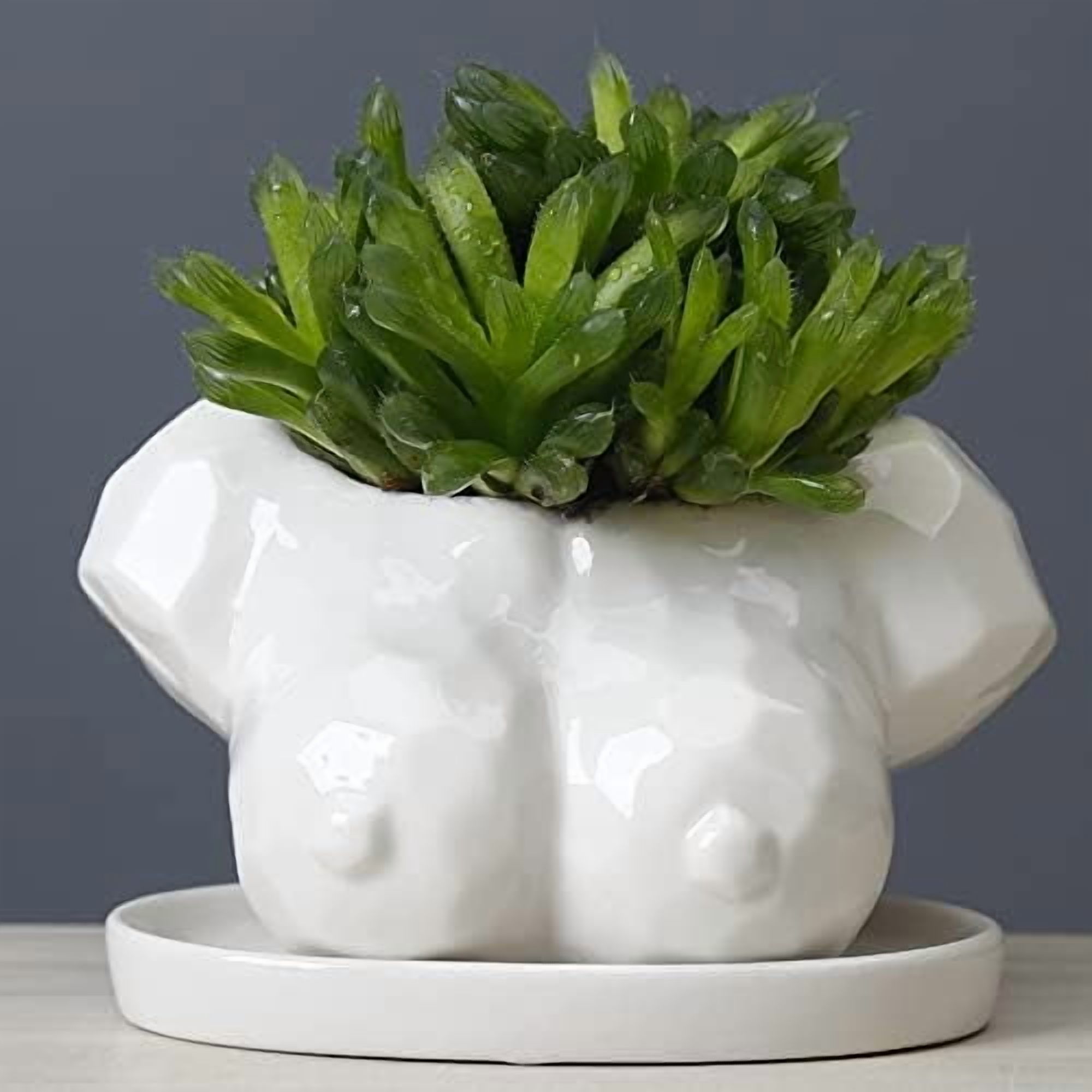Funny Women Planter, Female Body Vase Drainage Hole, Female Body ...