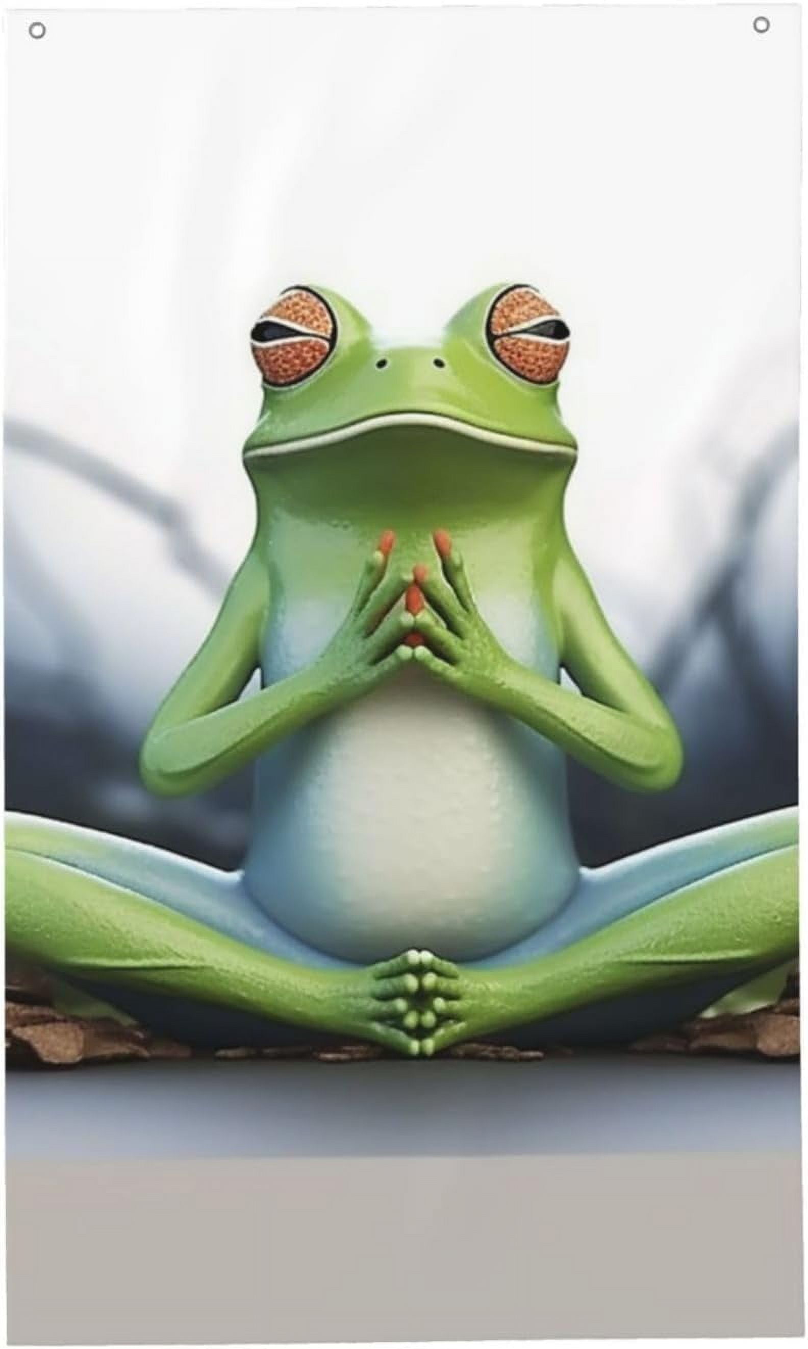 Funny Yoga Frog Flag 3x5 ft Garden Flag Welcome Spring Summer Garden ...