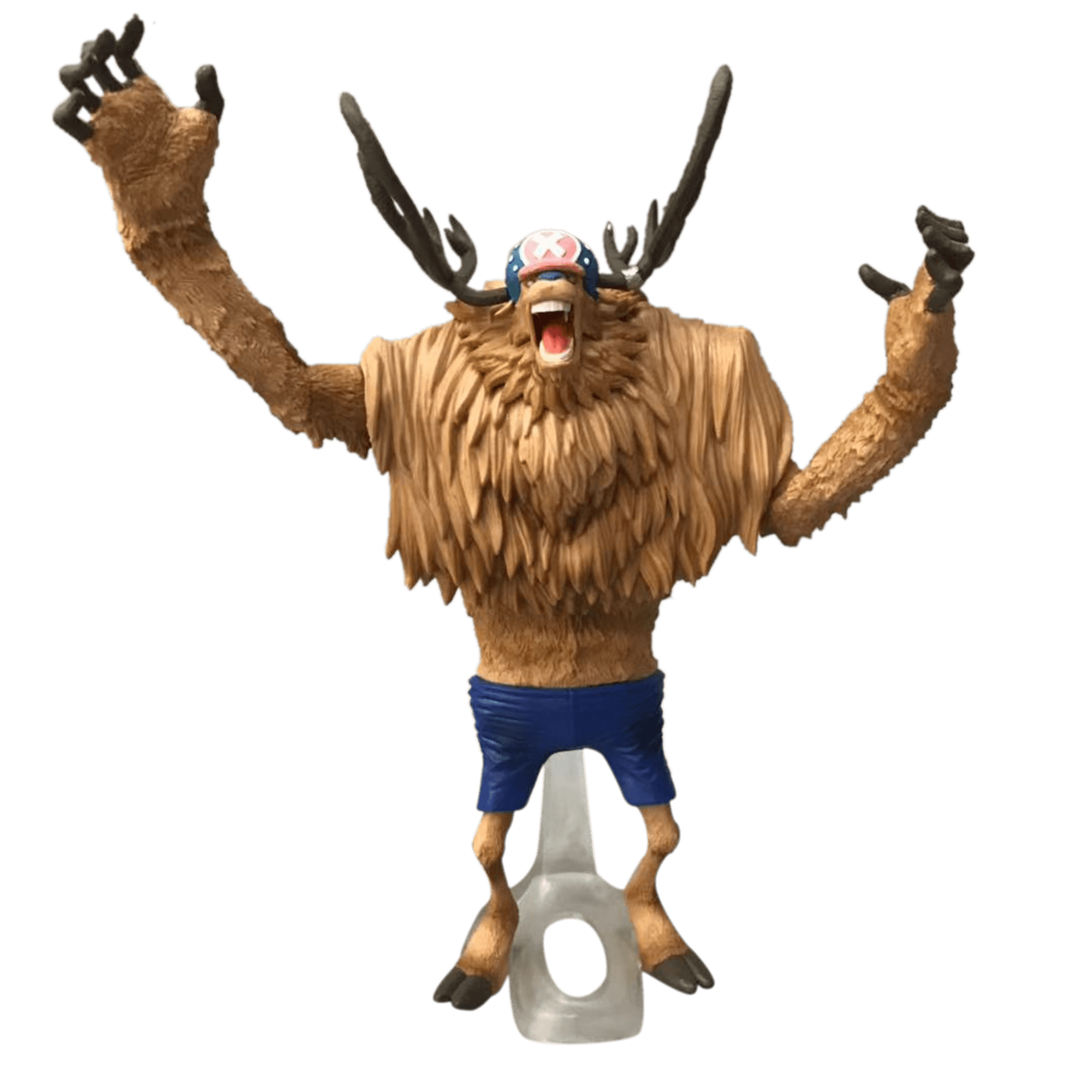 Chopper One Piece Transformations
