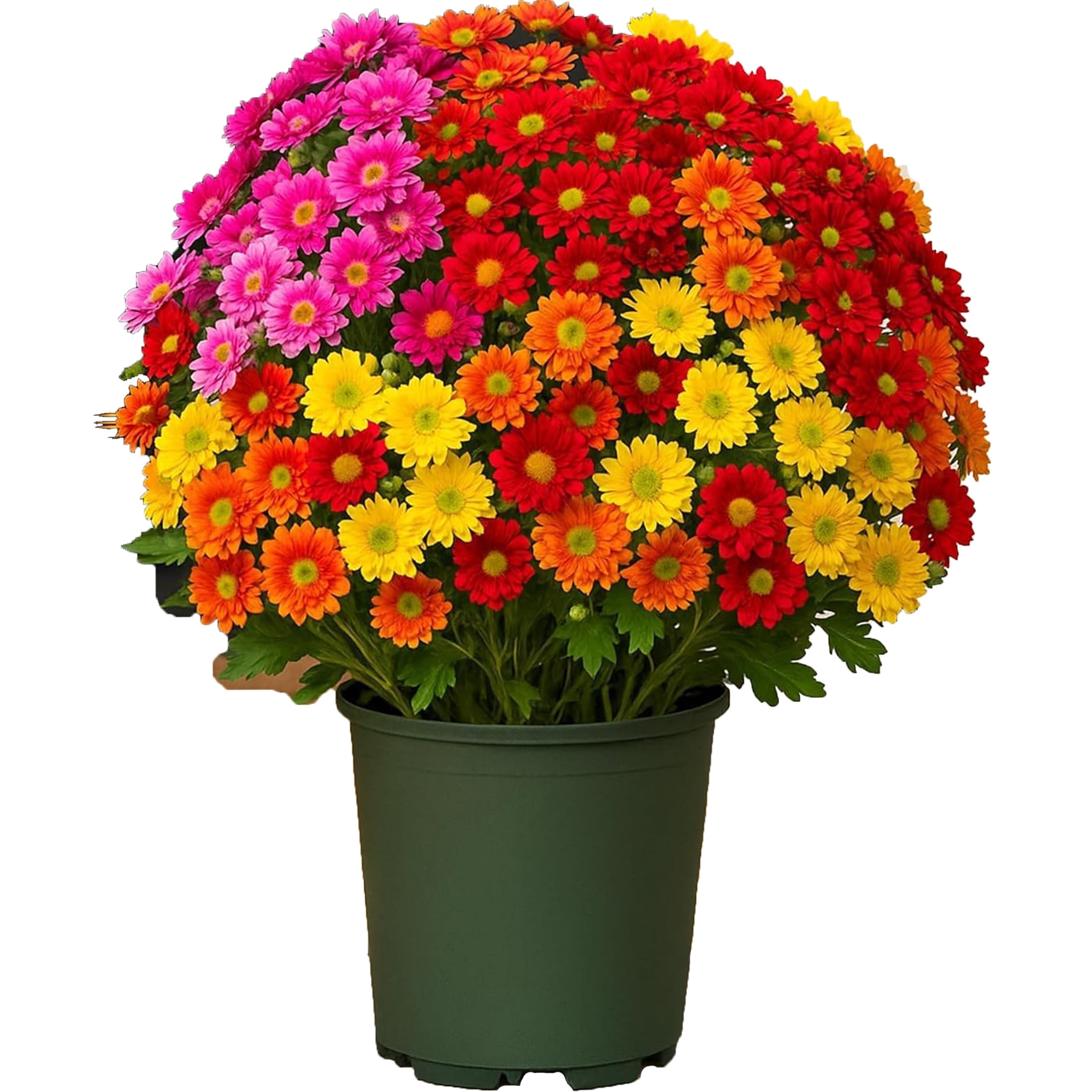 Funsdecor Artificial Fall Mums & Eucalyptus Bouquet - UV Resistant ...