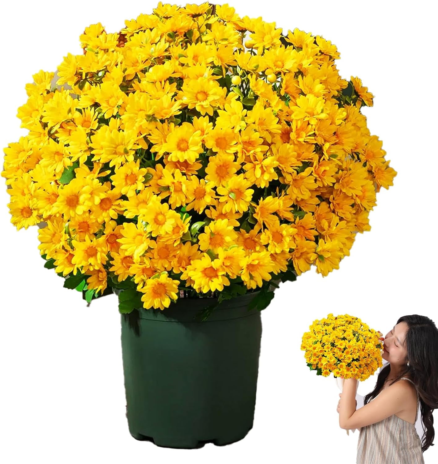 Funsdecor Artificial Mums - Premium Funsdecor Mums with Eucalyptus, UV ...