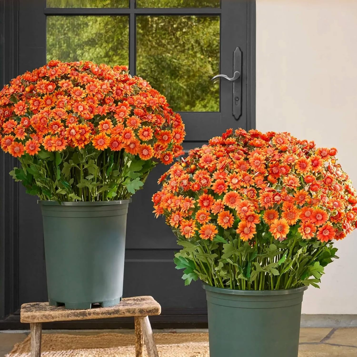 Funsdecor Mums, Artificial Outdoor Sunset Mums Flowers - UV Resistant ...