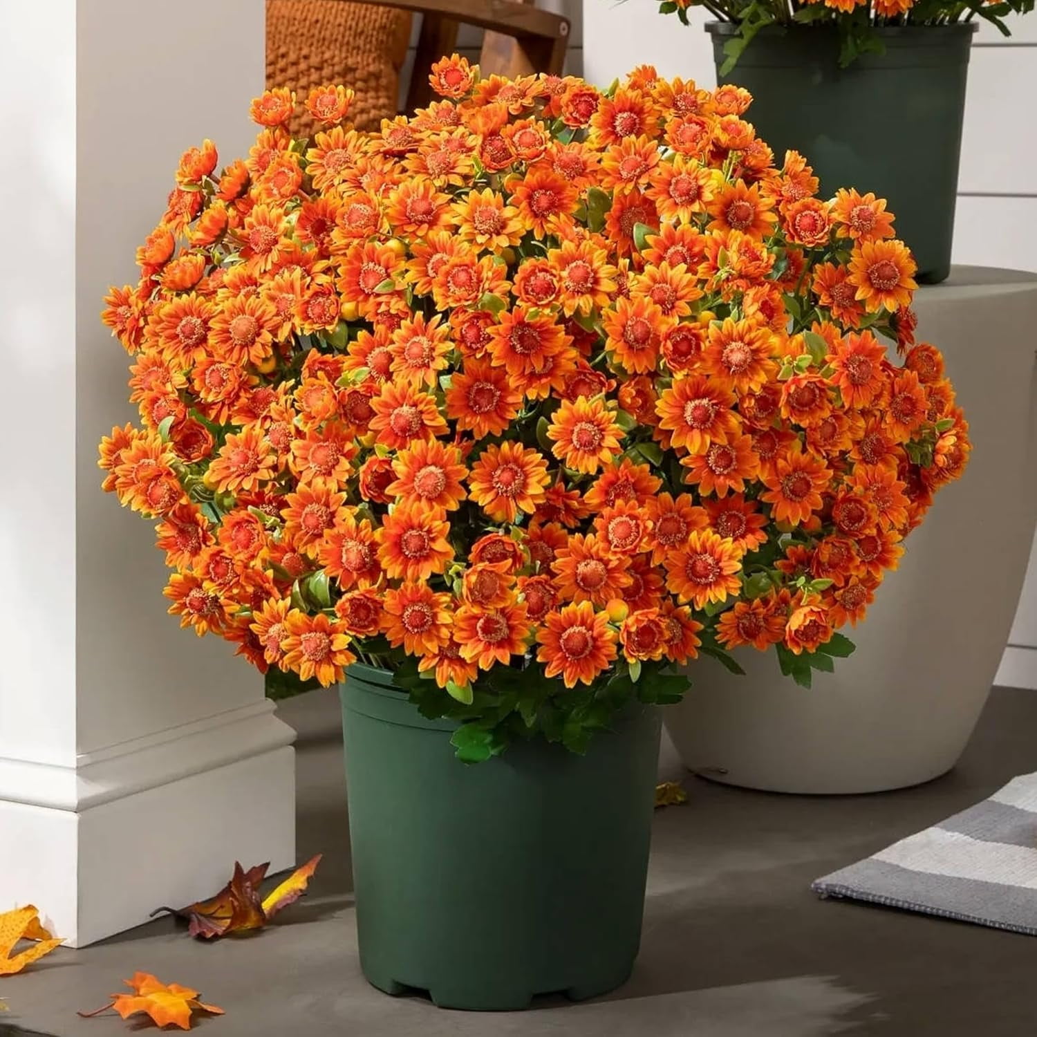 Funsdecor Mums, Artificial Sunset Mums, Artificial Outdoor Fall ...