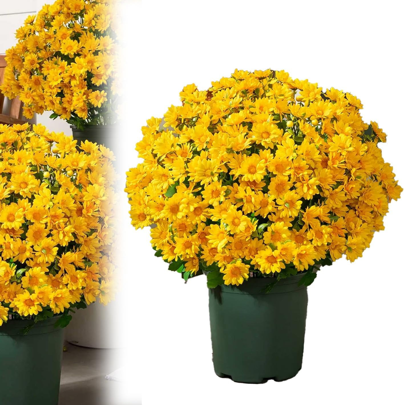 Funsdecor Mums, Artificial Sunset Mums, Artificial Outdoor Sunset Mum ...