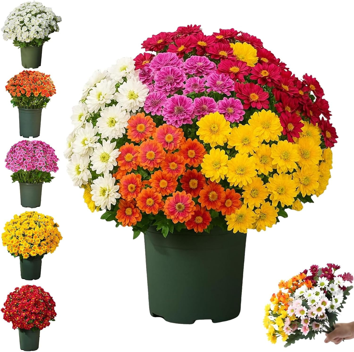 Funsdecor artificial mums, Artificial Outdoor Sunset Mums Flowers - UV ...