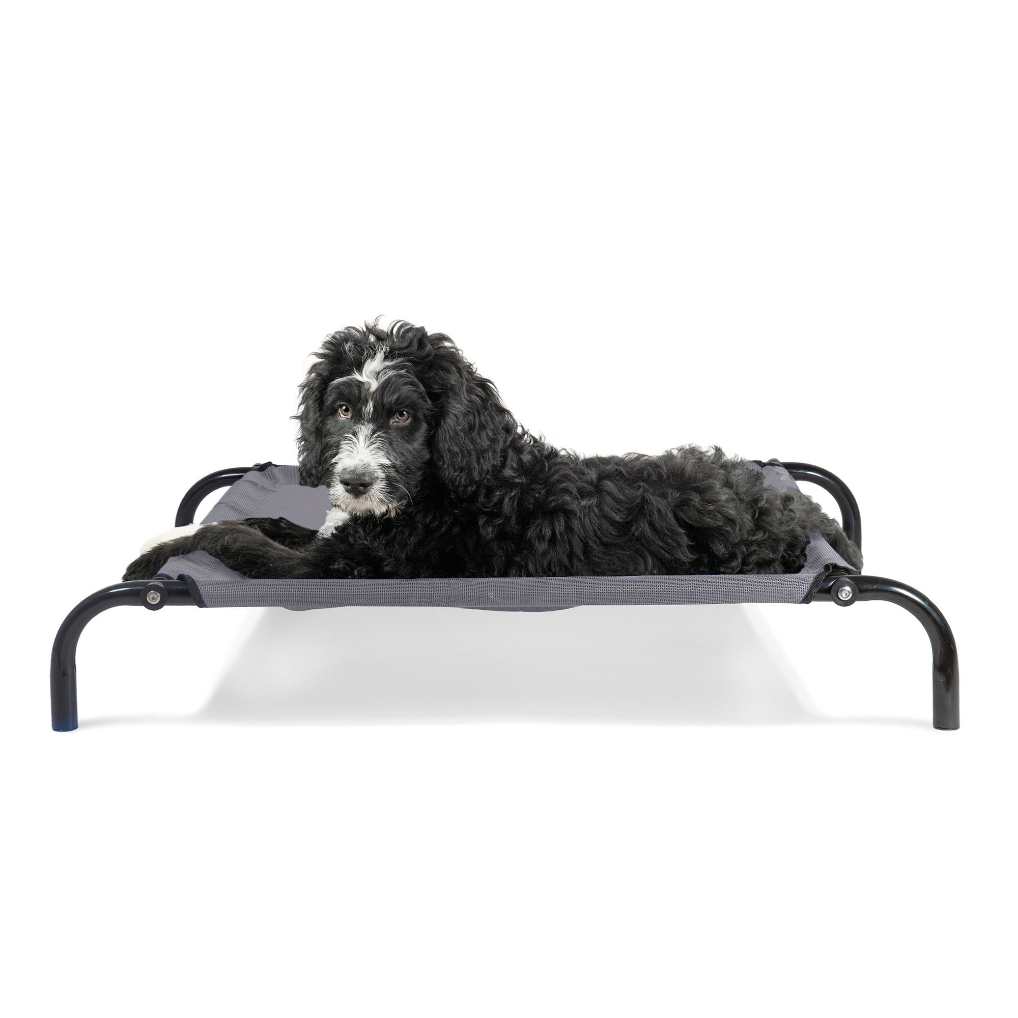 FurHaven Pet Dog Cot | Elevated Reinforced Pet Cot for Dogs & Cats ...