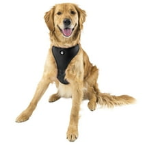 Dogit Harness with Fluorescent Print Logo, Small, Black - Walmart.com