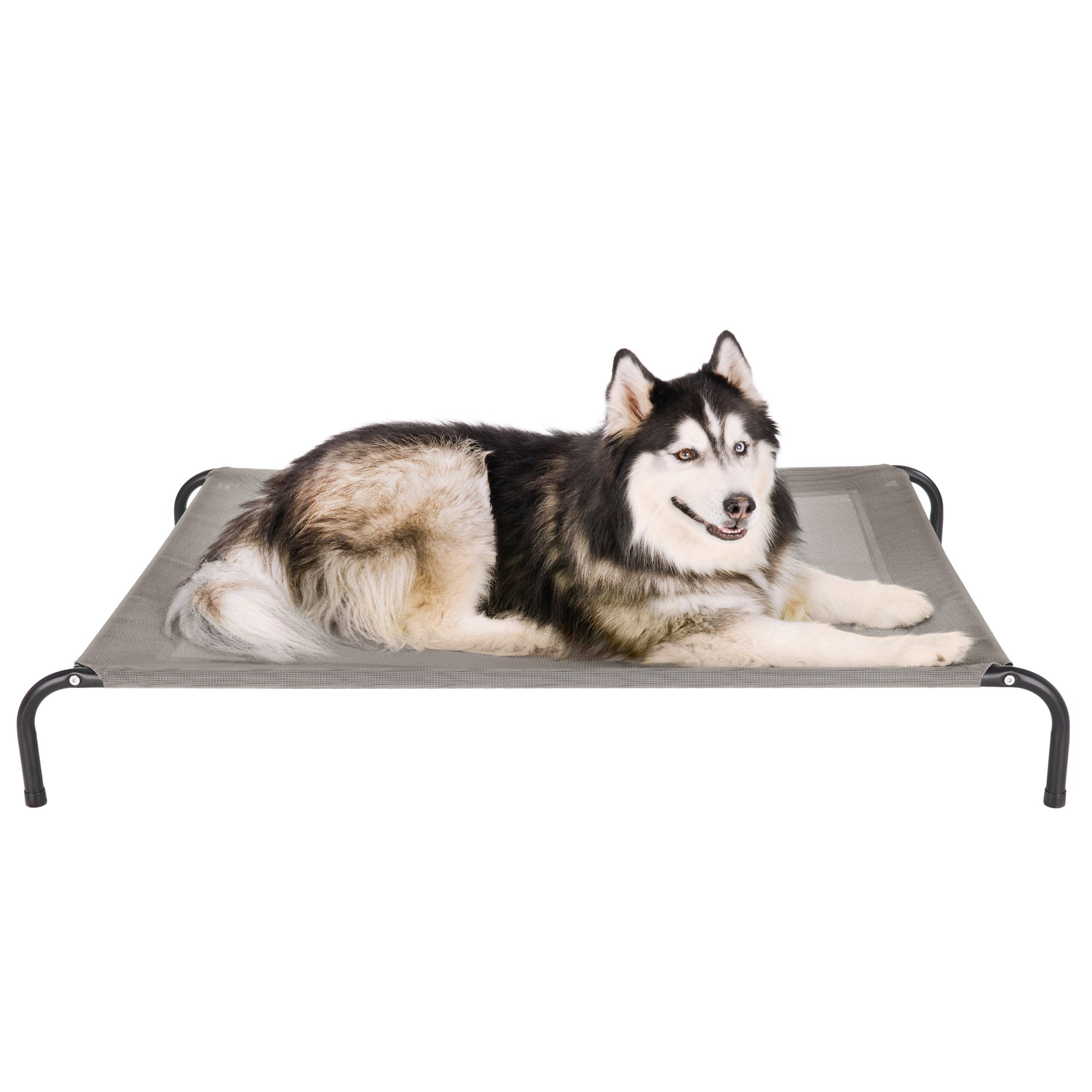 FurHaven Pet Products Elevated Cot Pet Bed - Graphite Gray, Extra Large ...