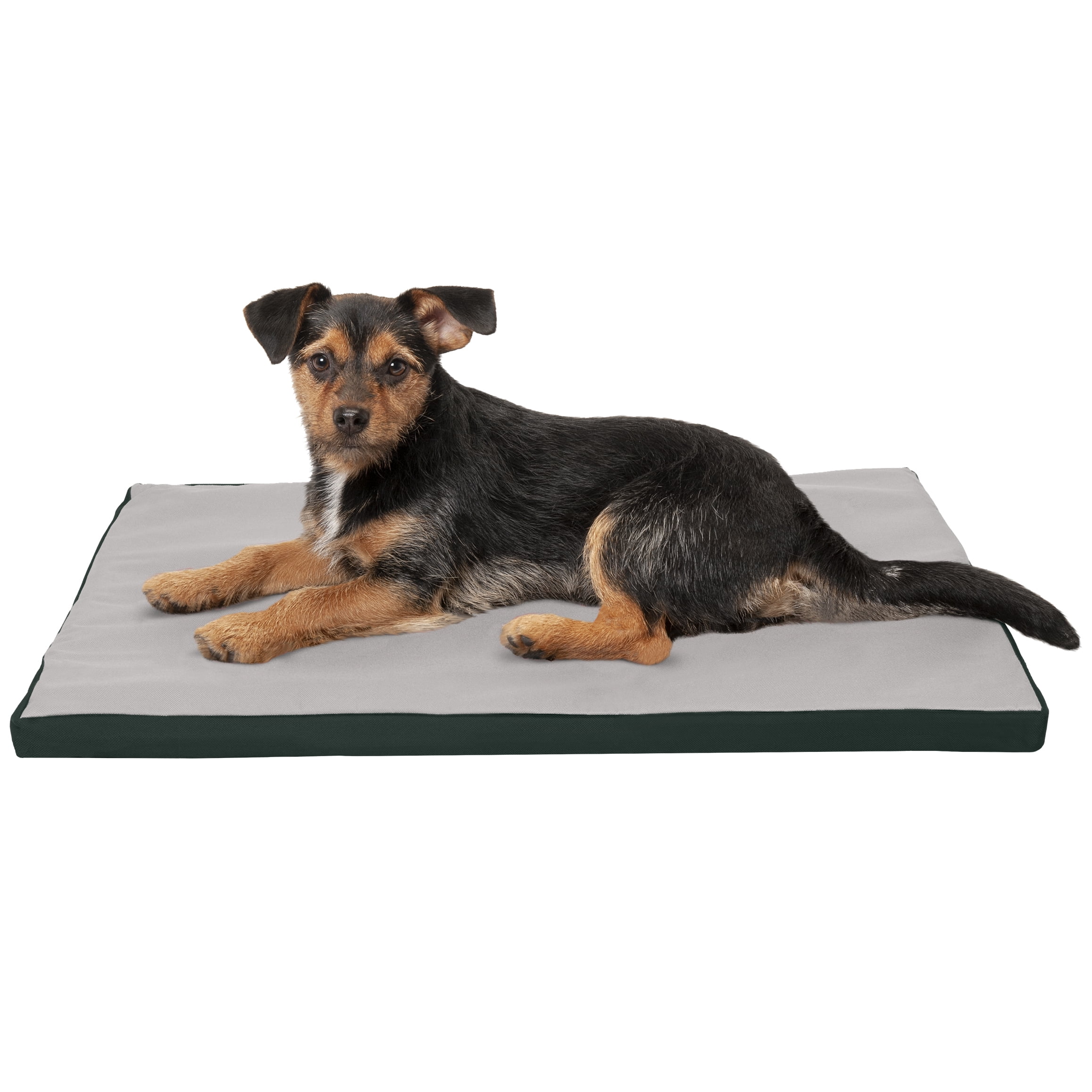 FurHaven Pet Products Kennel Pad Pet Bed for Crates - Green, Small ...