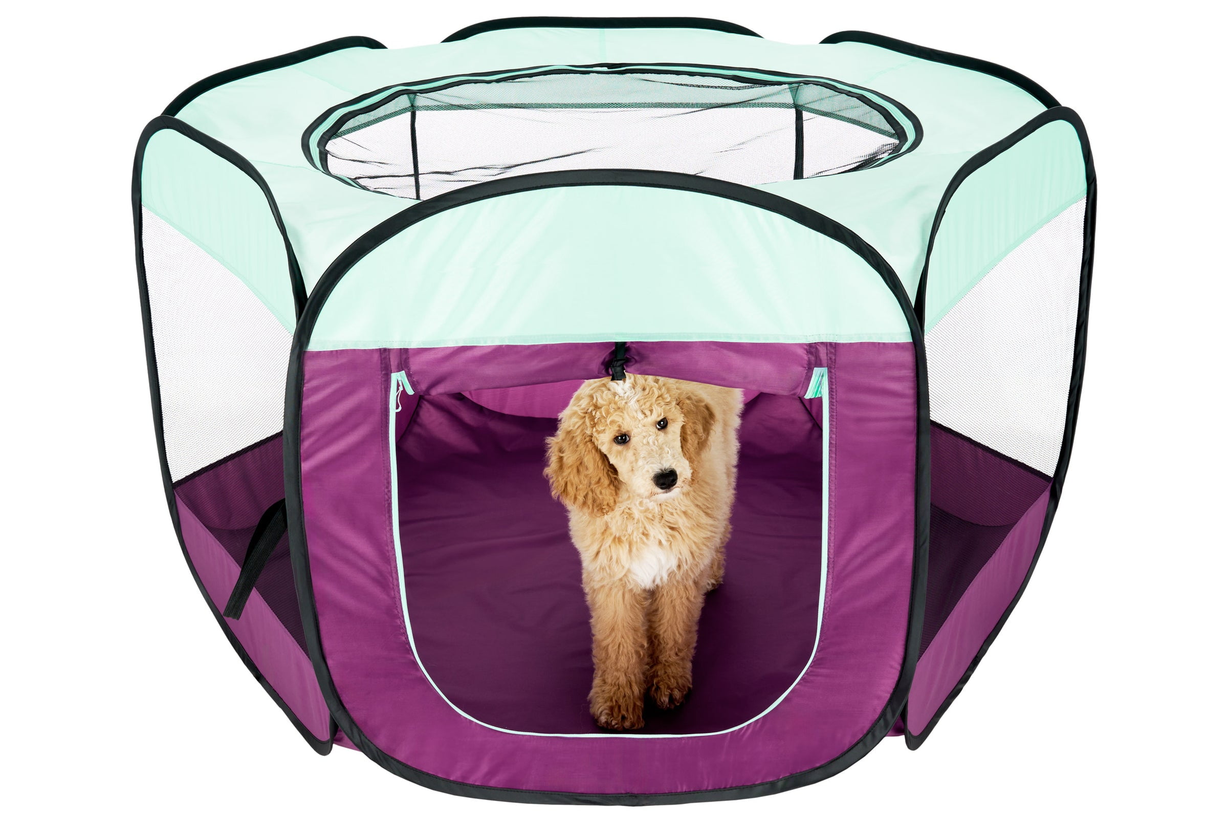 FurHaven Pet Products Mesh Open-Air Pet Playpen - Purple, Extra Large ...