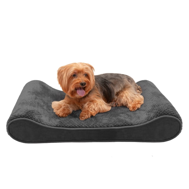FurHaven Pet Products Minky Plush & Velvet Luxe Lounger Memory Foam ...