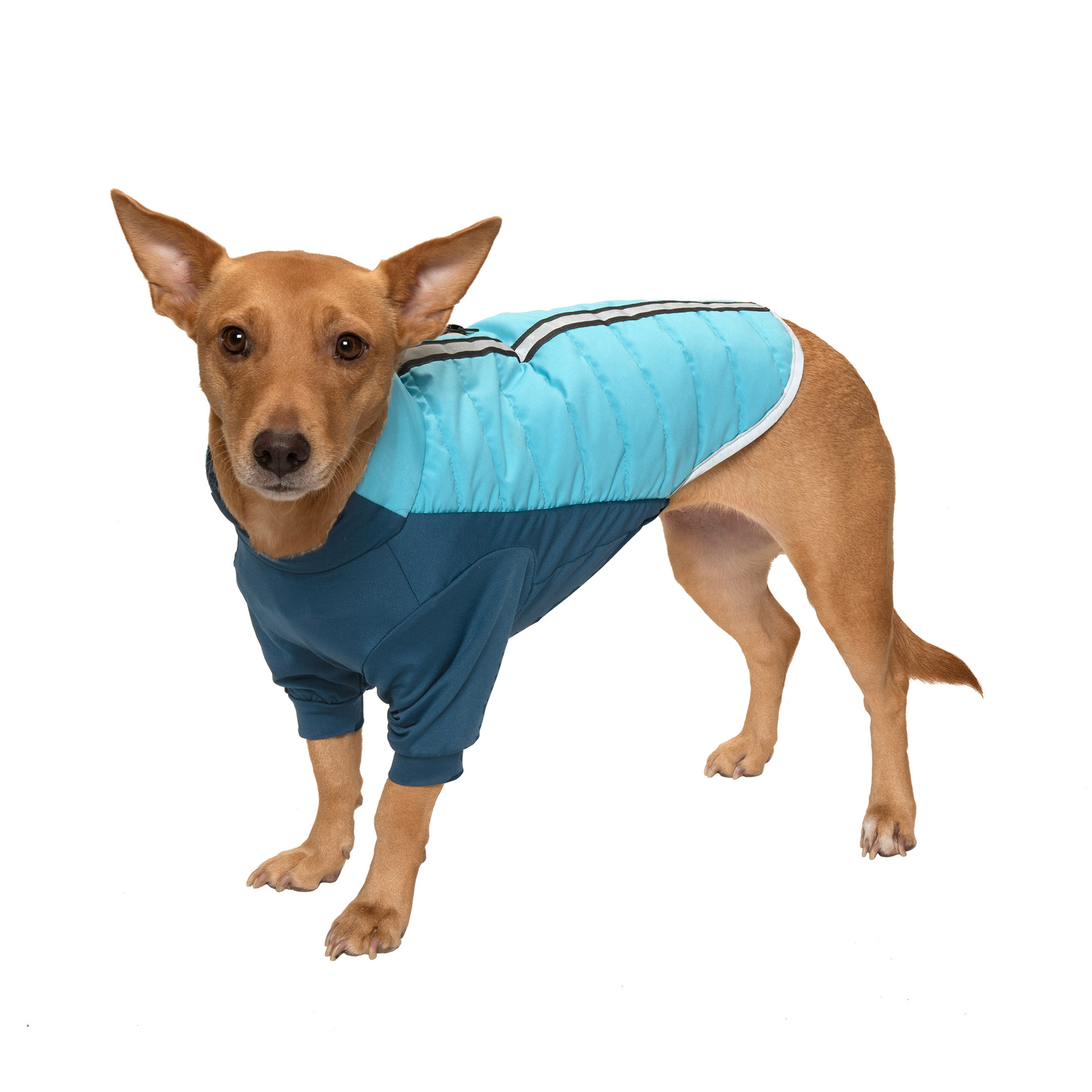 Small Pet Puppy Warm Winter Sweater Hoodie Clothes Doggy Cat Waterproof ...