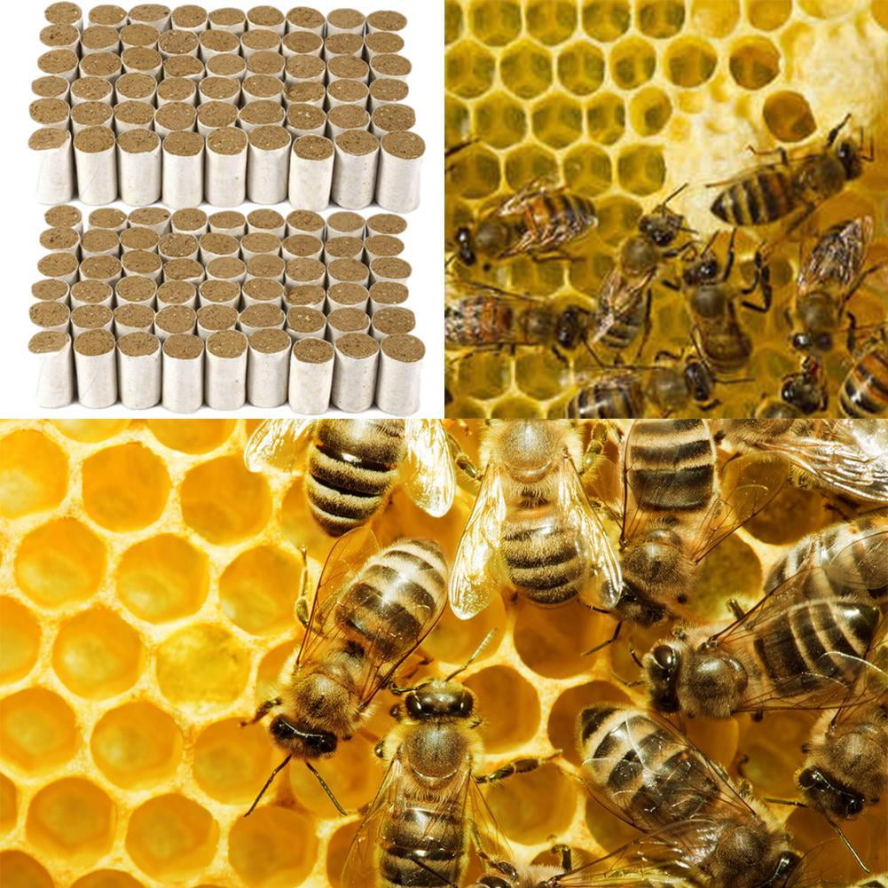 FurNest 54X Smoker Fuel Bee Hive Smoke Supplies Kit Equipment 2025 ...