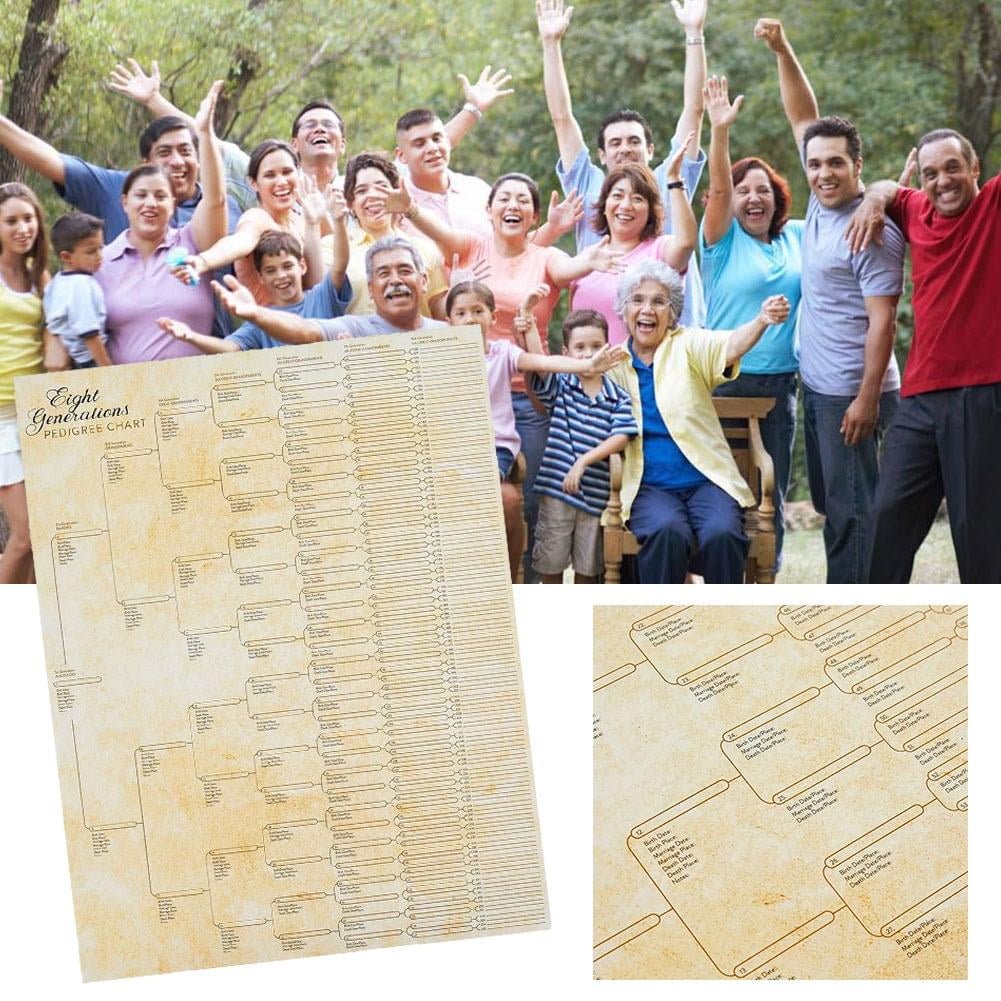 FurNest Family Tree Chart To Fill In, Compact 8 Generation Pedigree ...