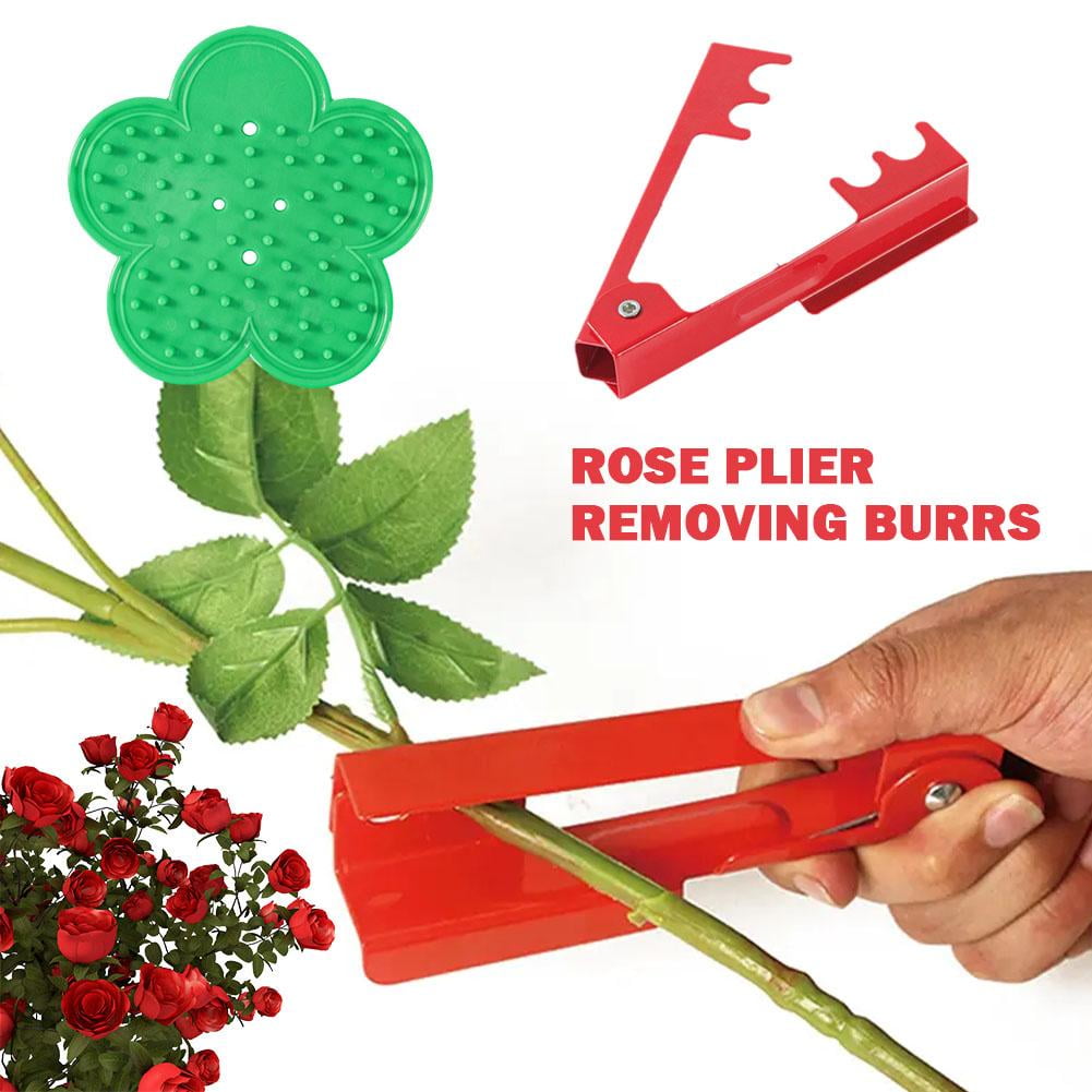 FurNest Metal Rose Thorn Stripper Tool for Floristry and Garden Removal ...